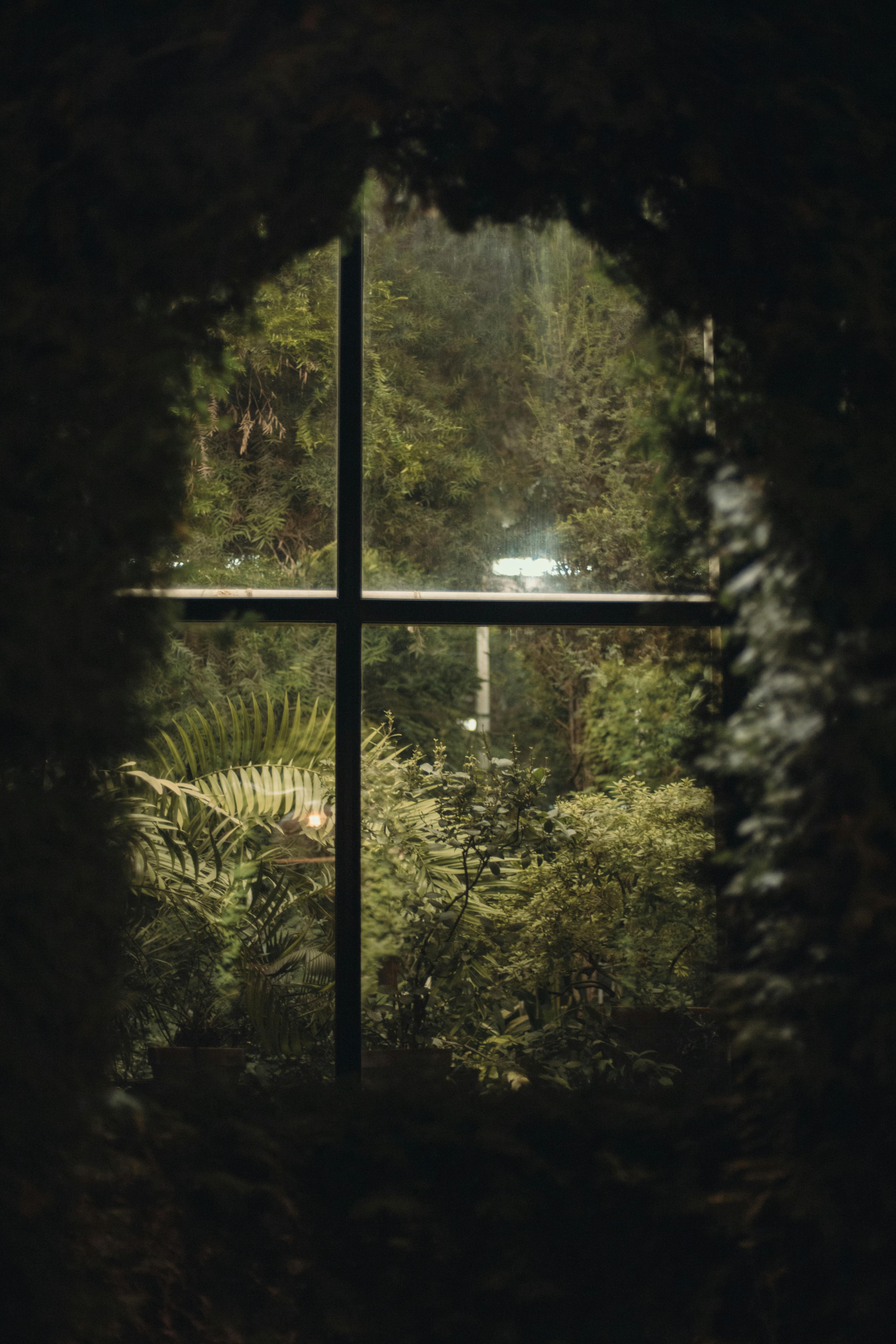 Window Swap 149 Photos & Videos Collected by Lisa Fotios