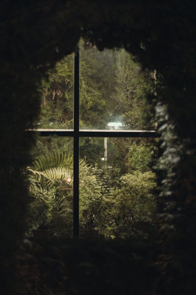 Window Swap 149 Photos & Videos Collected by Lisa Fotios