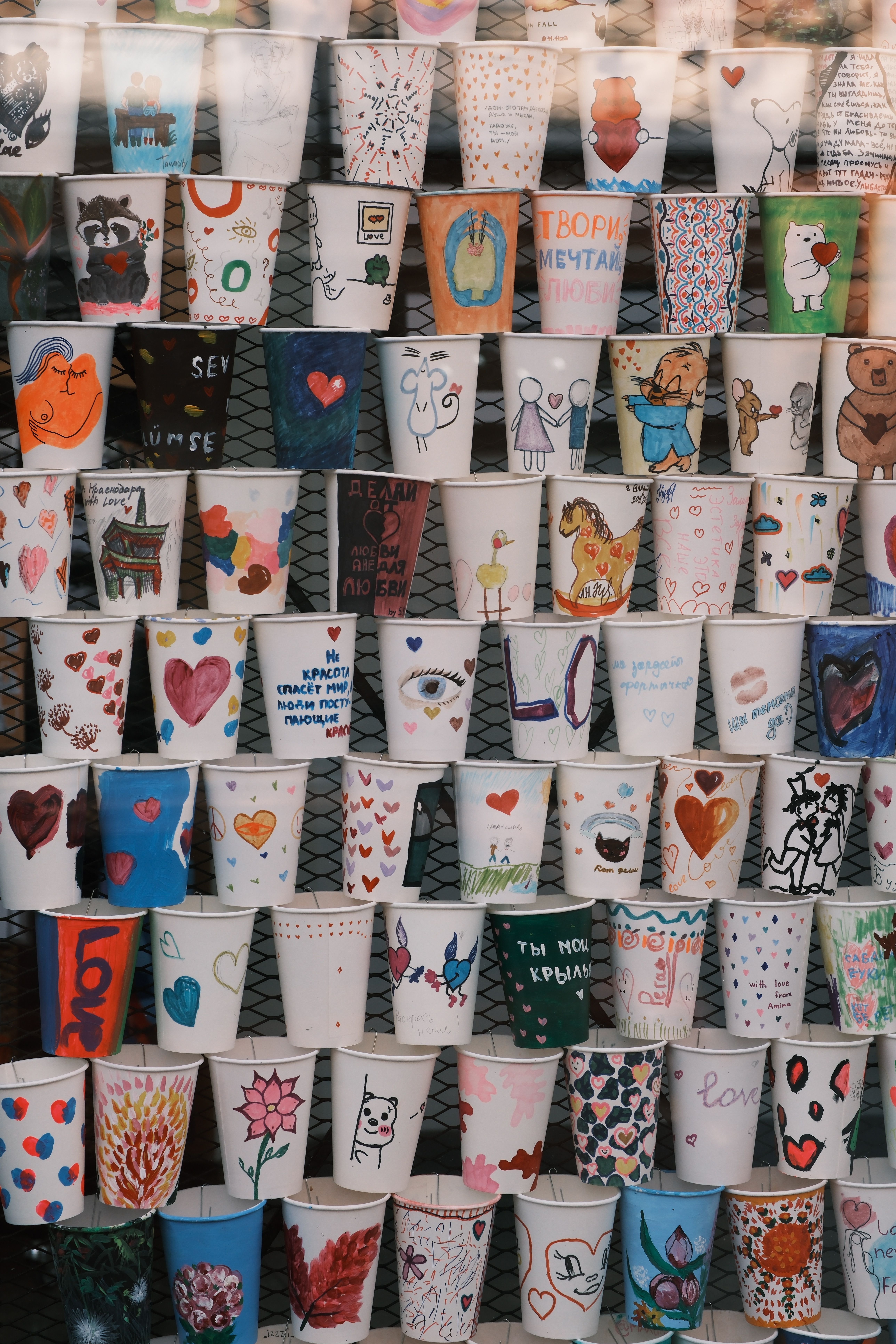 Cups Photos, Download The BEST Free Cups Stock Photos & HD Images