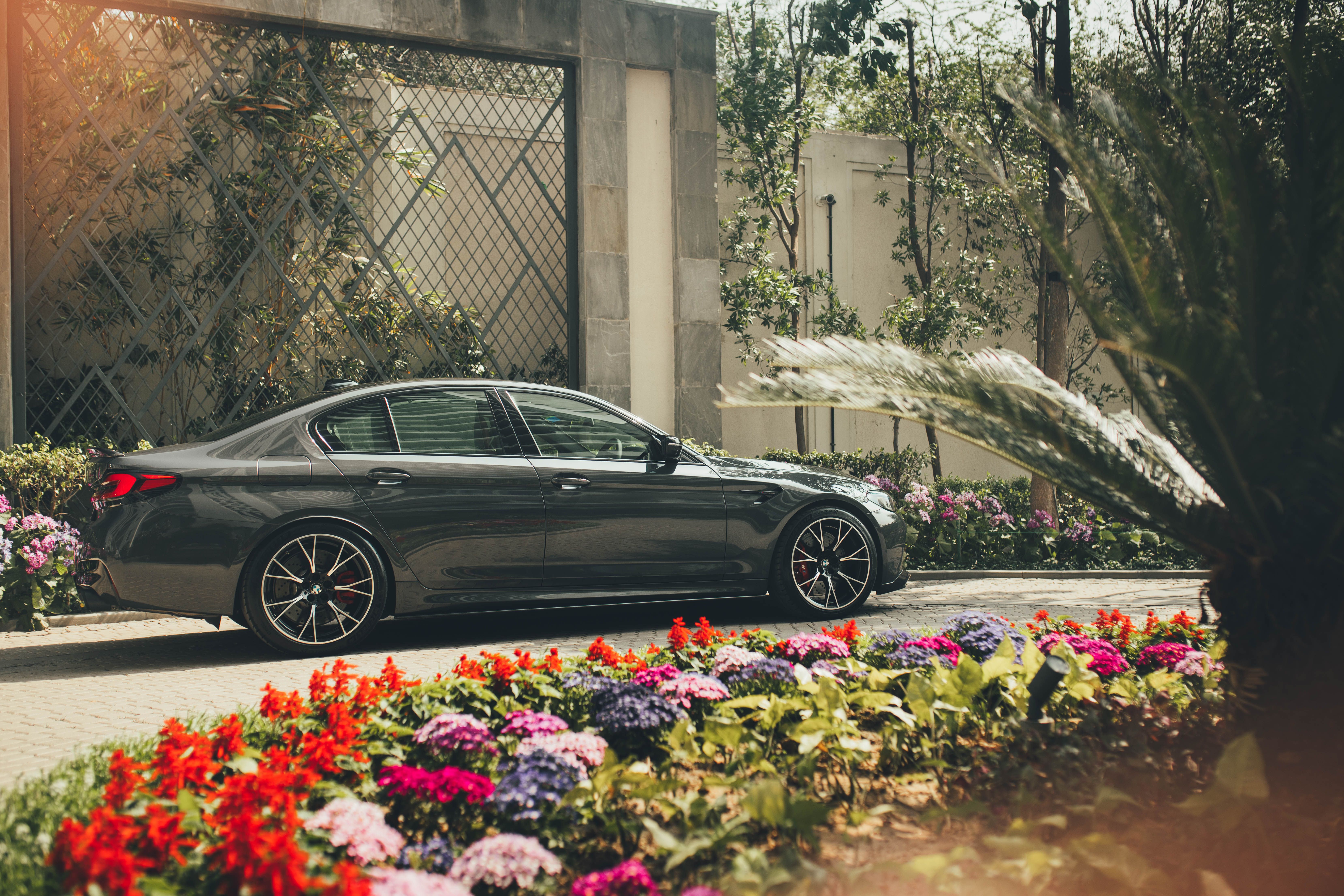 A Car in a Yard · Free Stock Photo