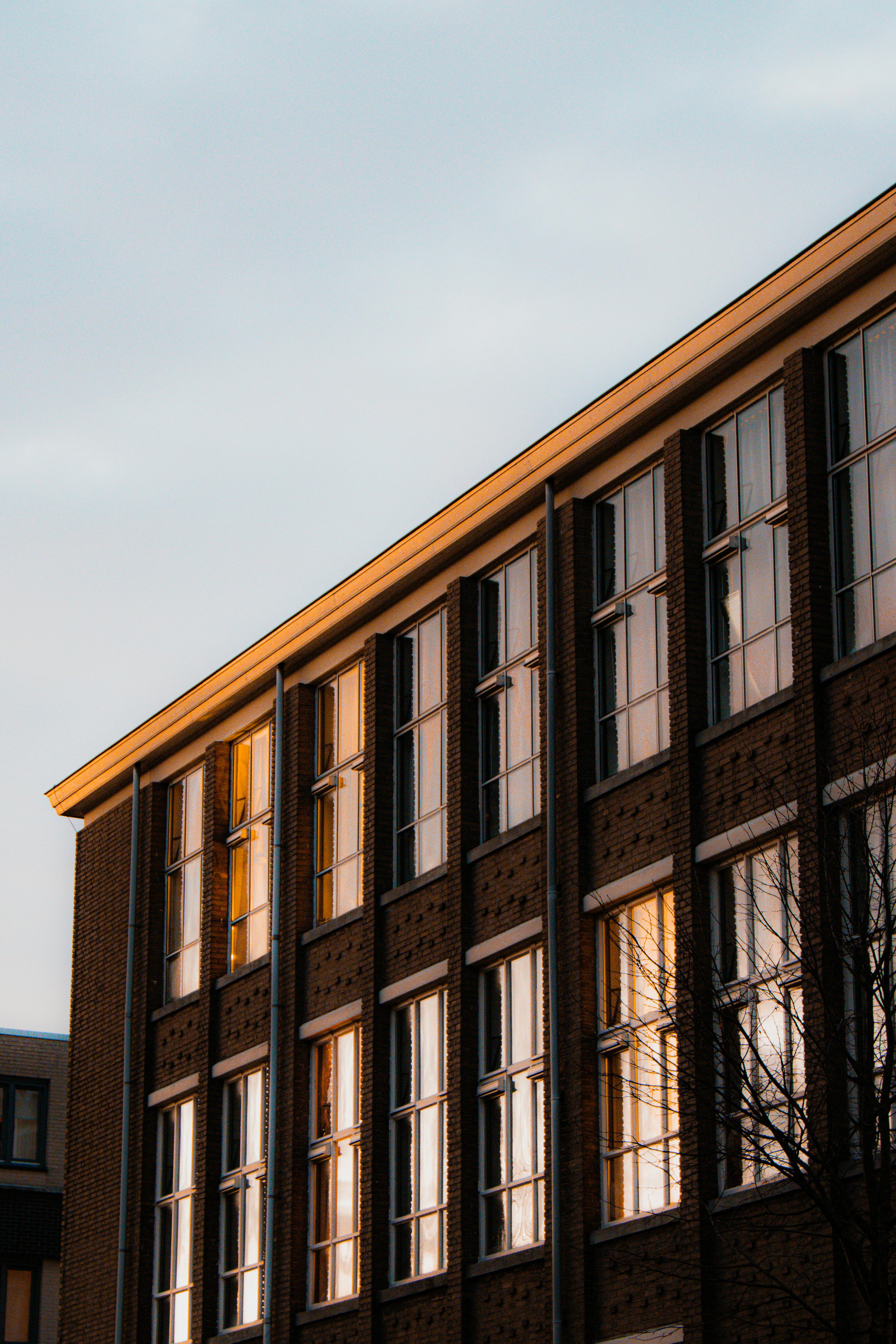 Windows of Brick Building · Free Stock Photo
