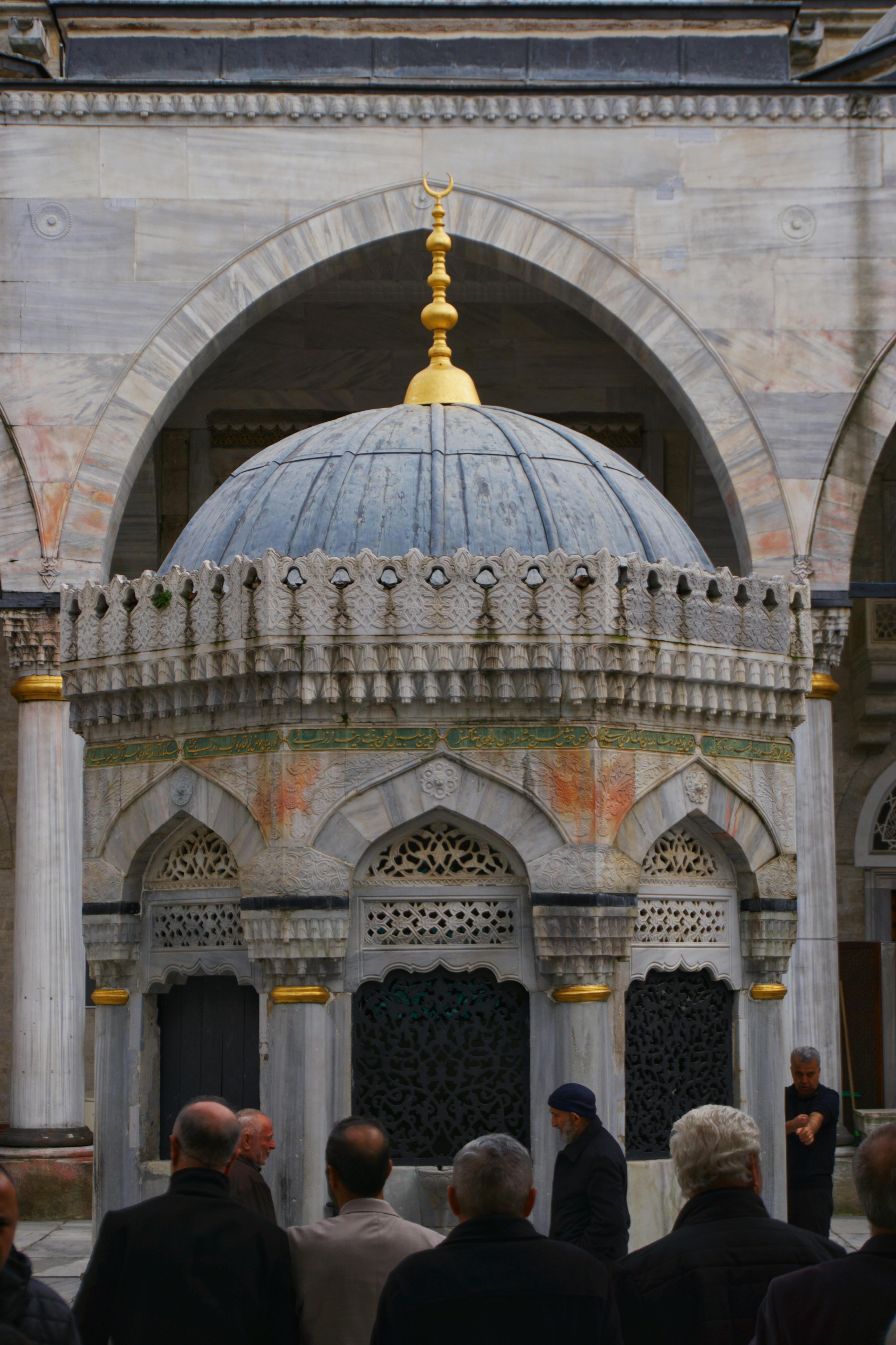 Palm Tree Growing in a Courtyard of Prophet Moses Shrine, Jericho ...