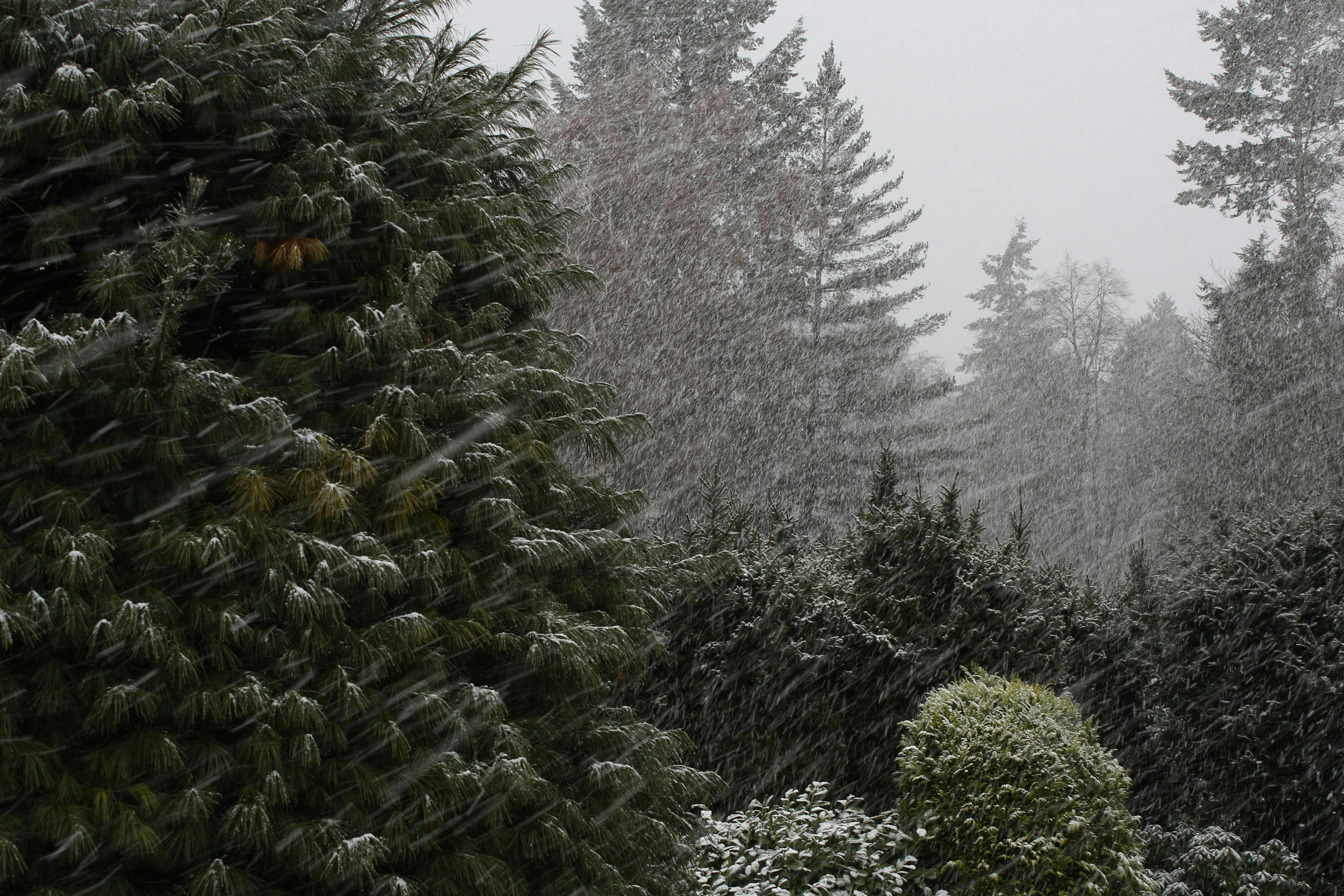 Stephan Lill - Photography