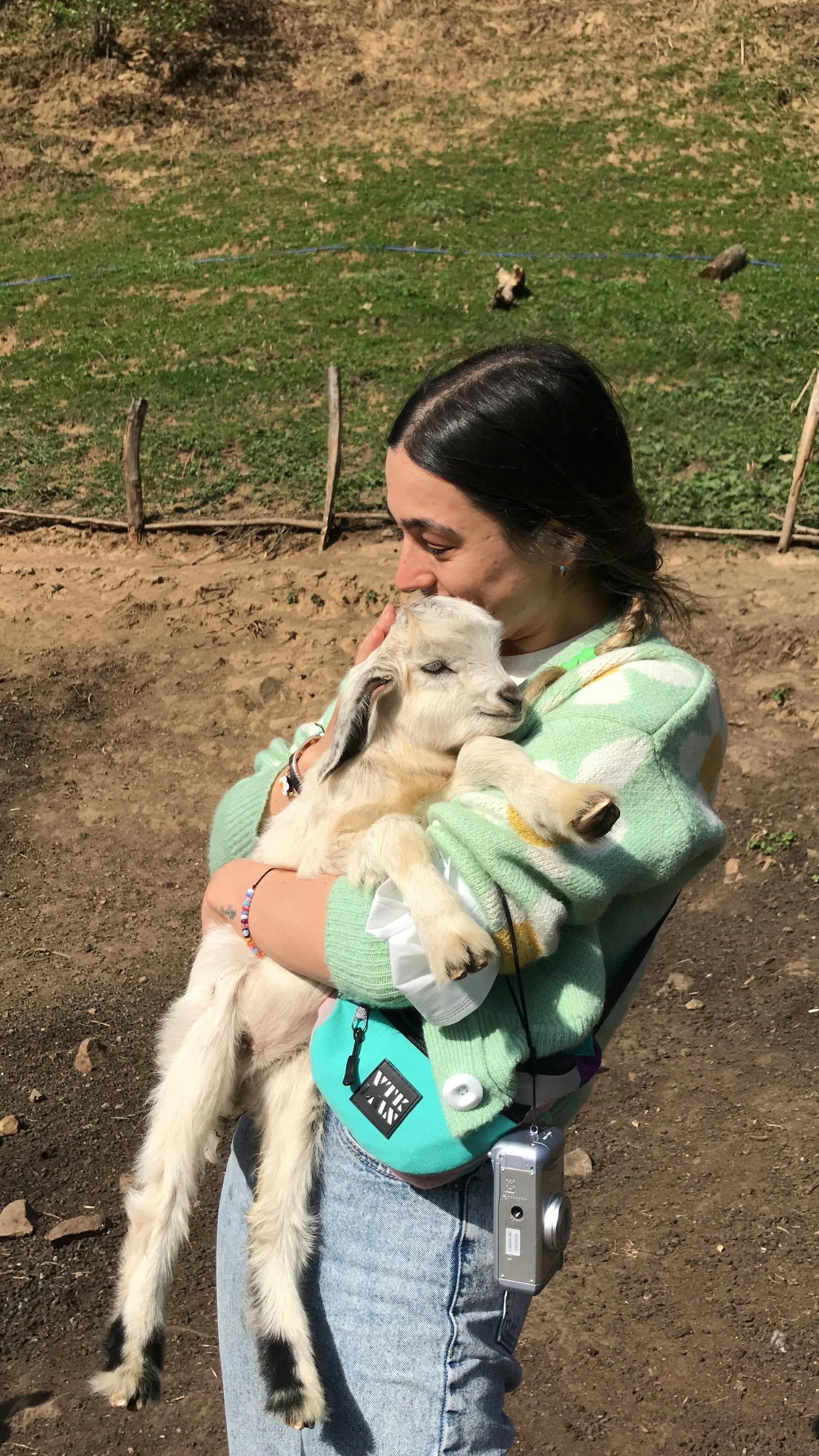Woman Hugging Lamb · Free Stock Photo