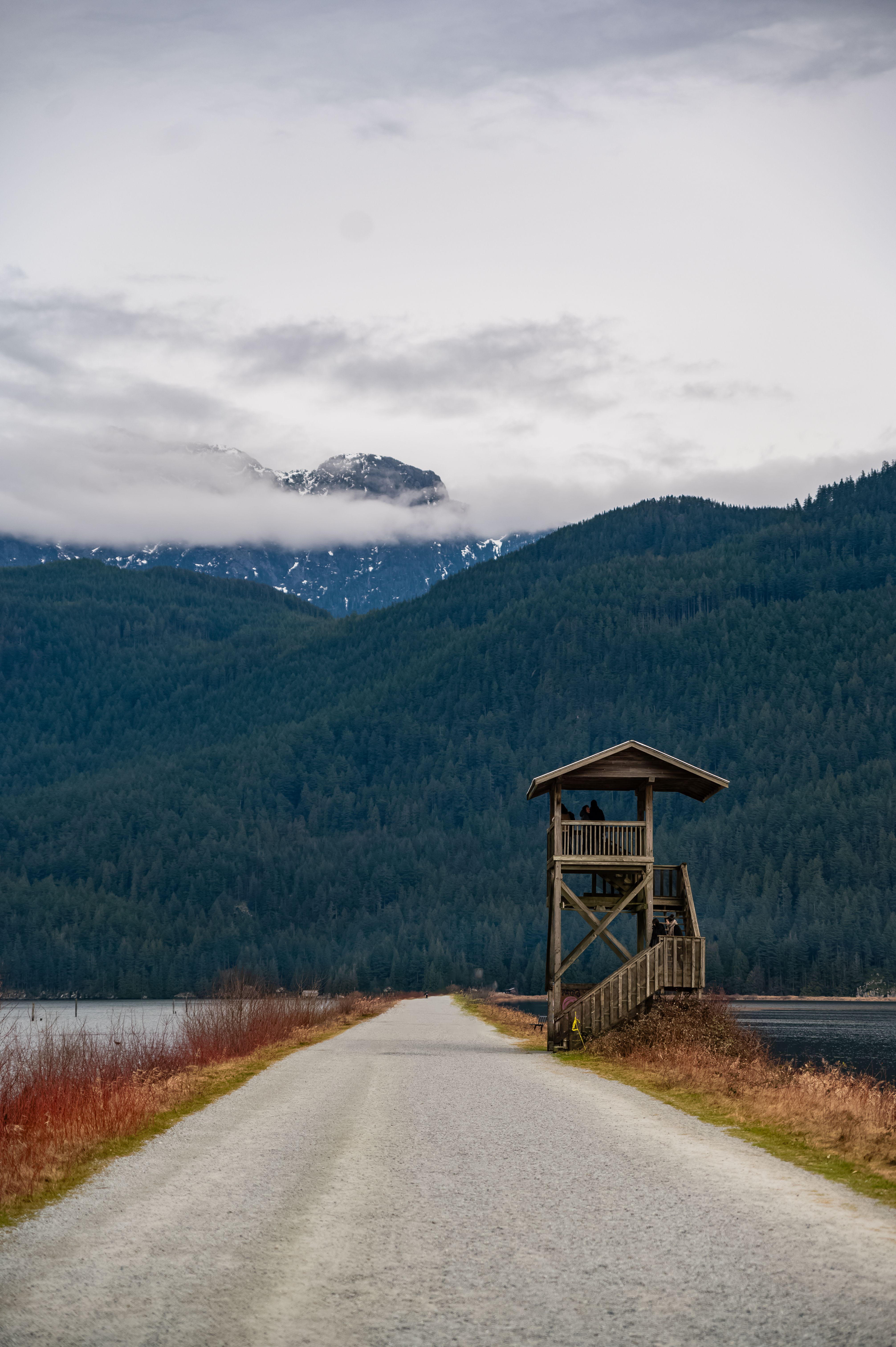 An Observation Tower by the Road · Free Stock Photo