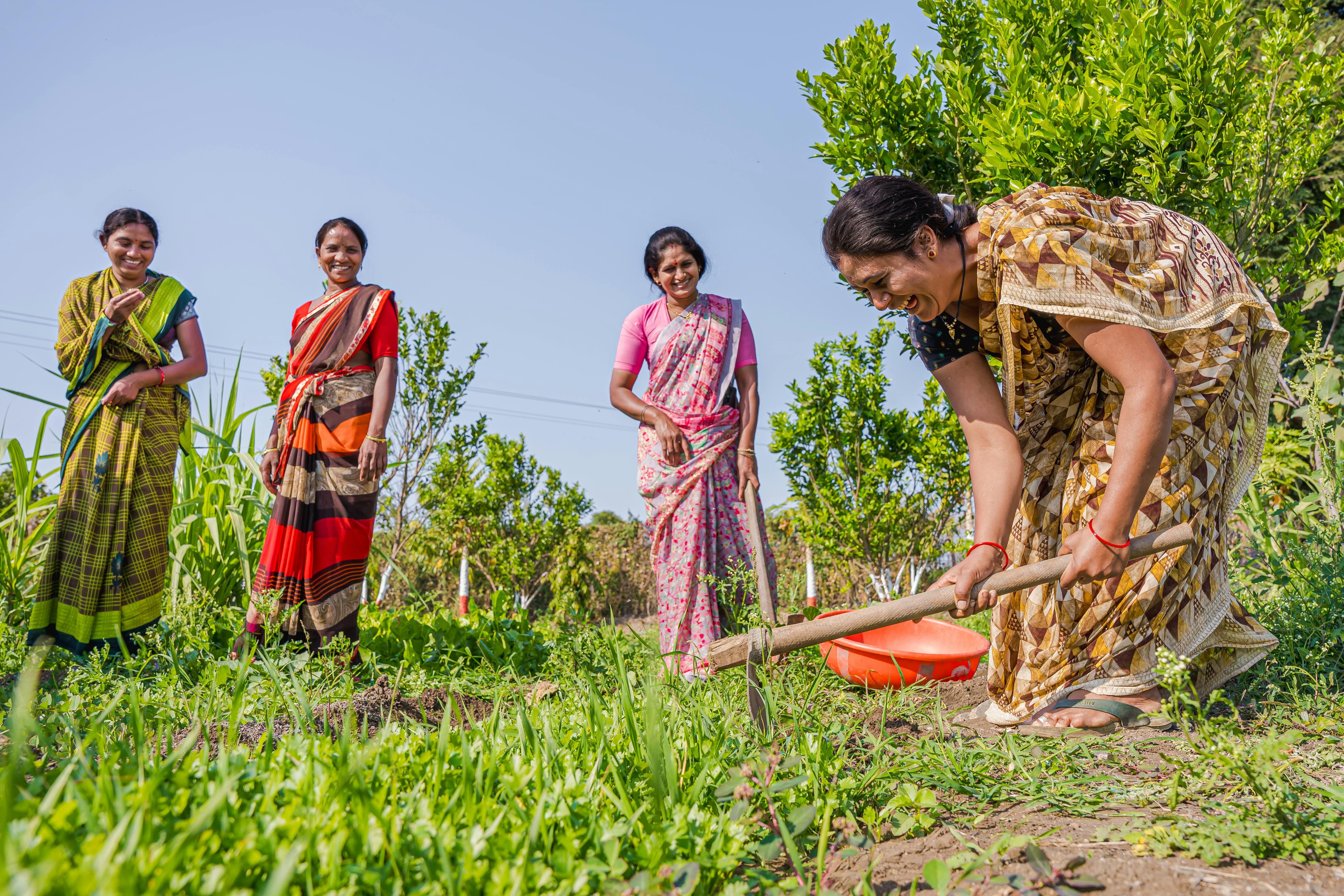 Laughing Women Working on Rural Field · Free Stock Photo