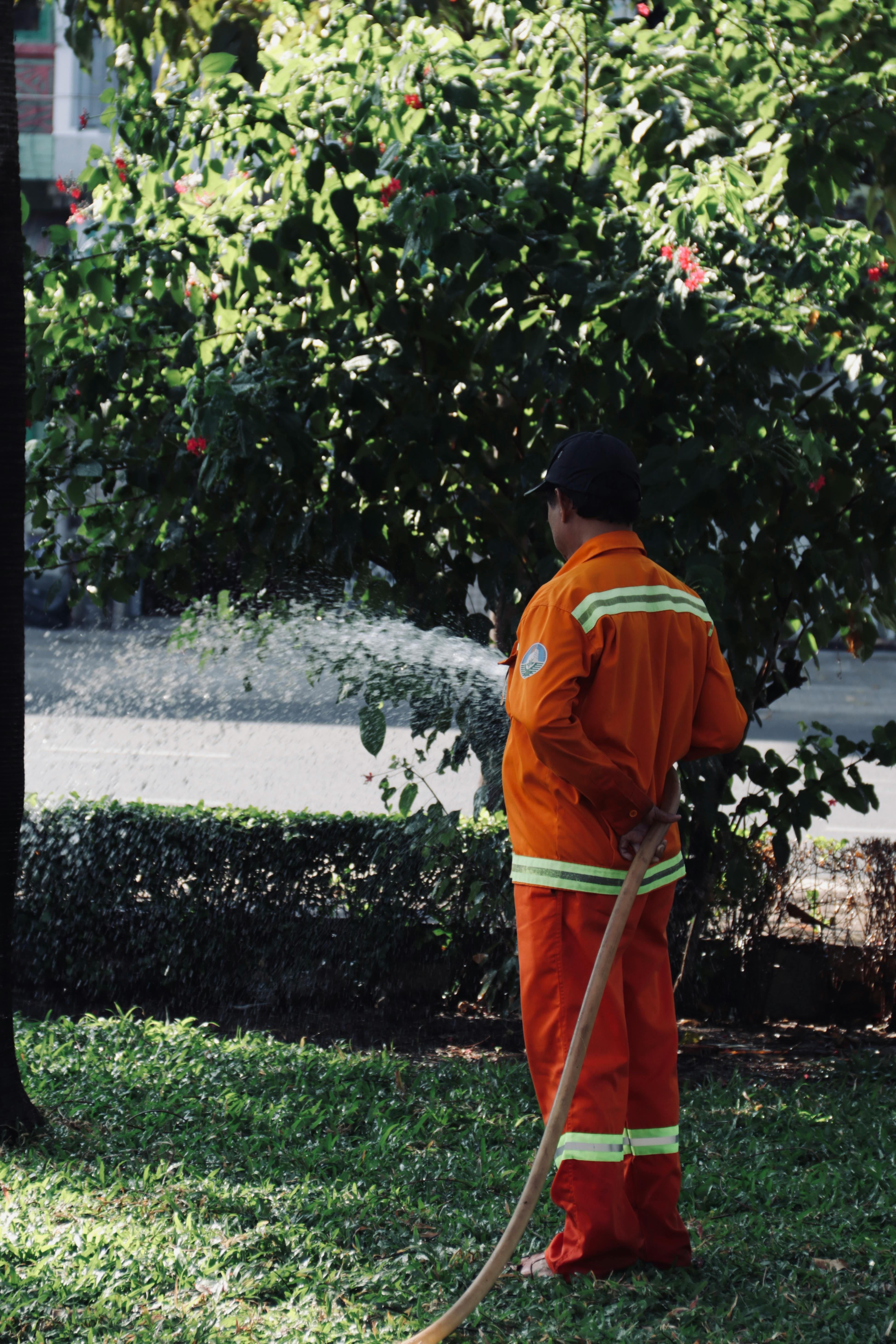 Fireman in Uniform Looking at Forest after Fire · Free Stock Photo