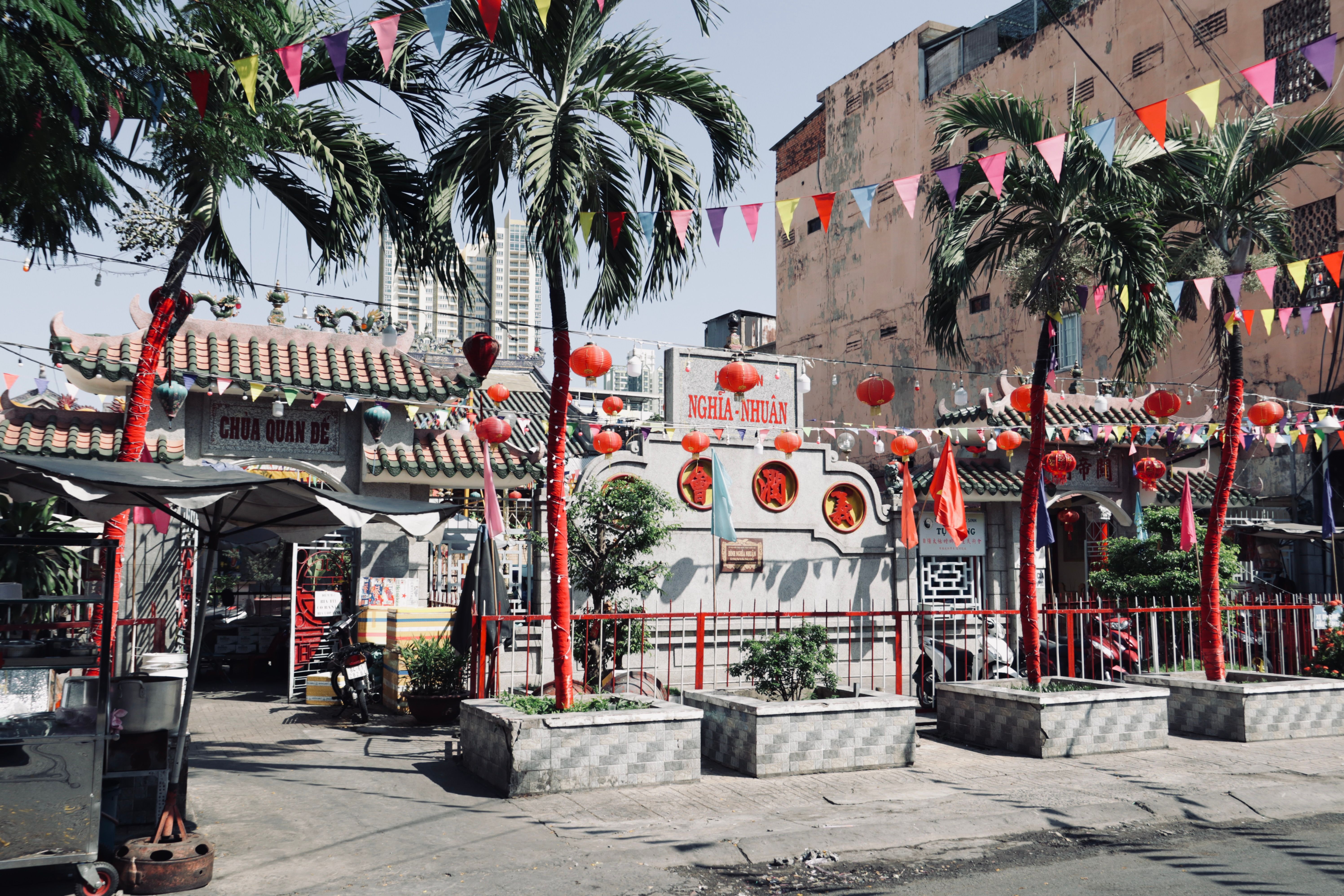 Buntings and Paper Lanterns Hanging between Palm Trees over a Street ...