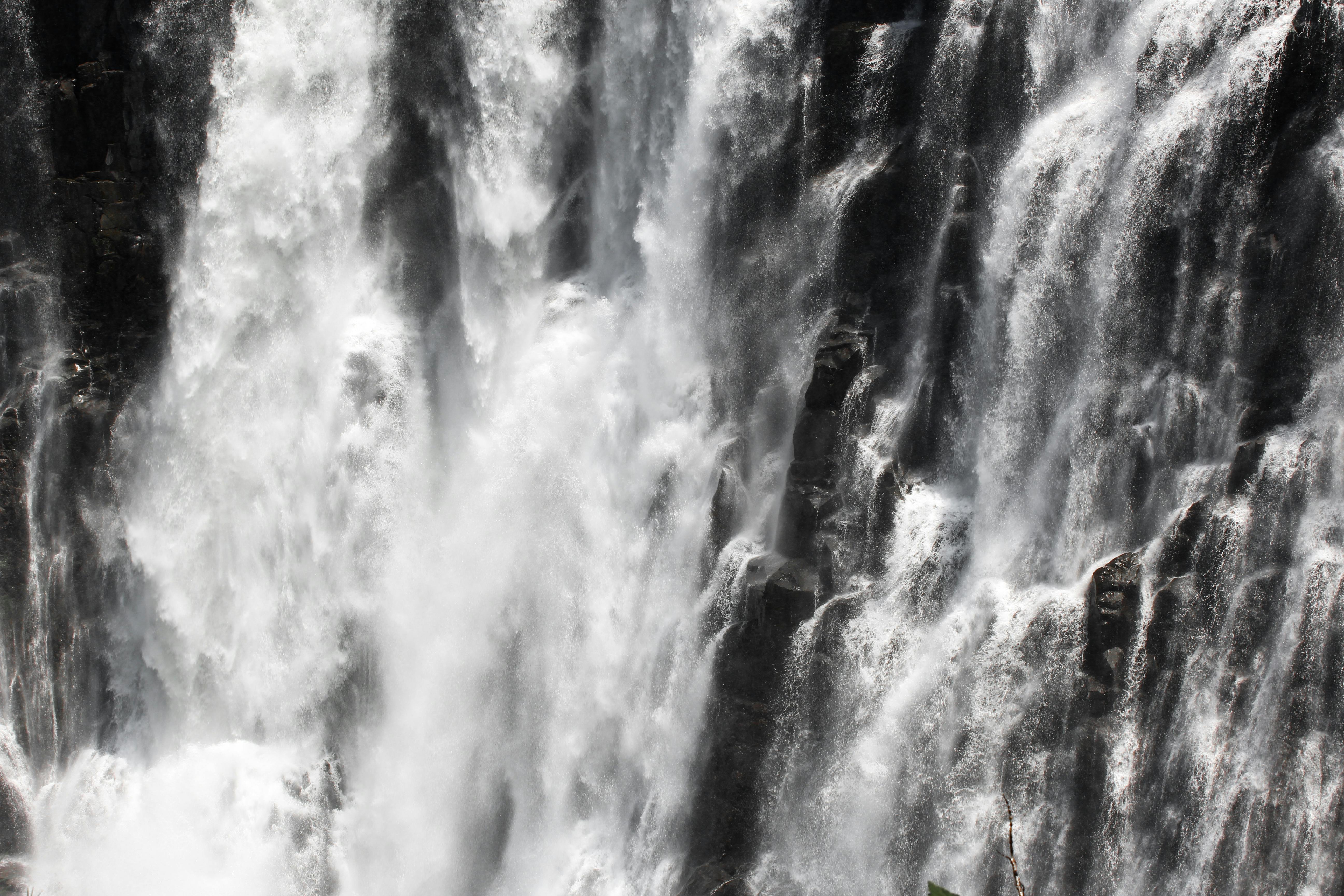 Lotus Waterfall Photos, Download The BEST Free Lotus Waterfall Stock ...