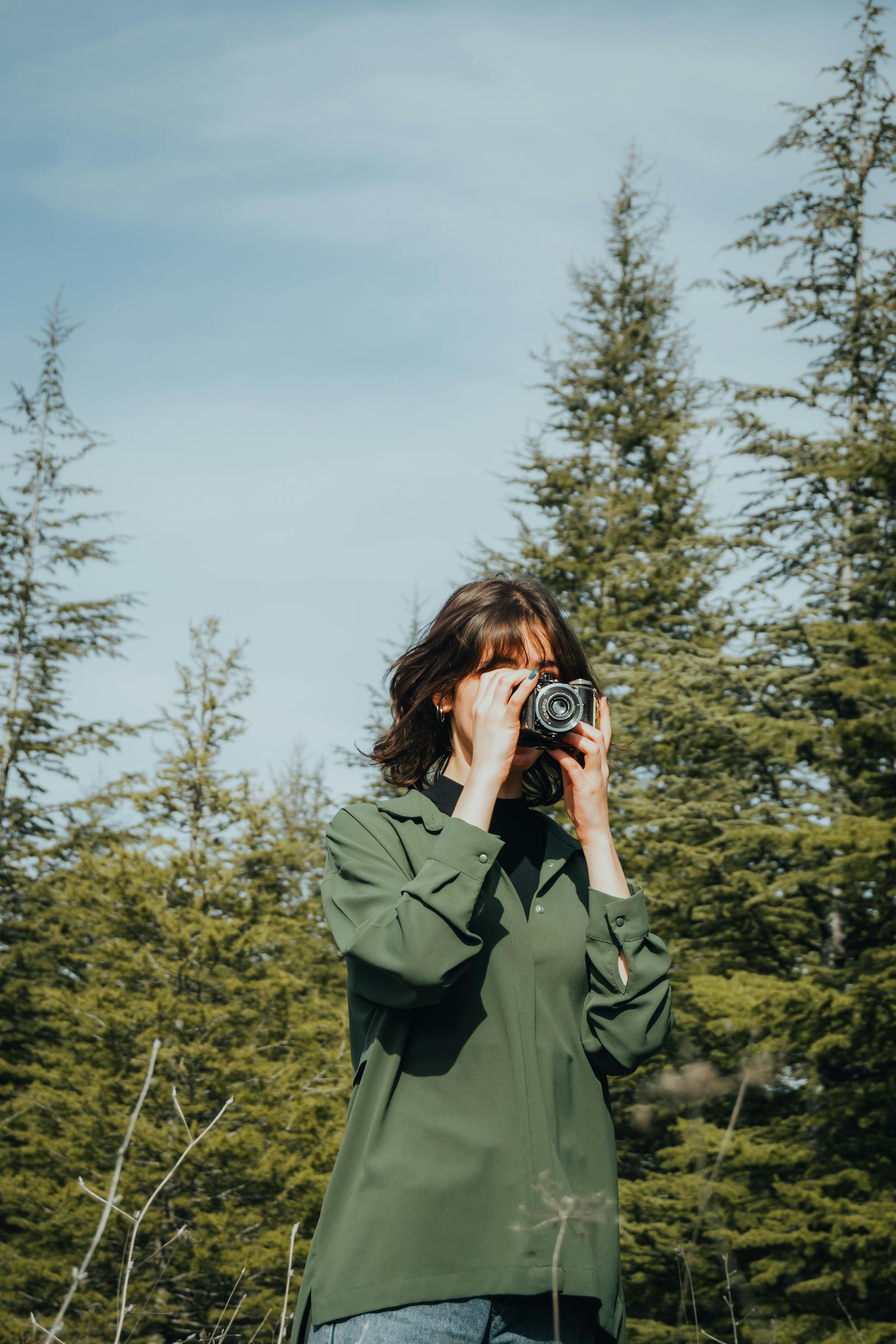 Camera Forest Photos, Download The BEST Free Camera Forest Stock Photos ...