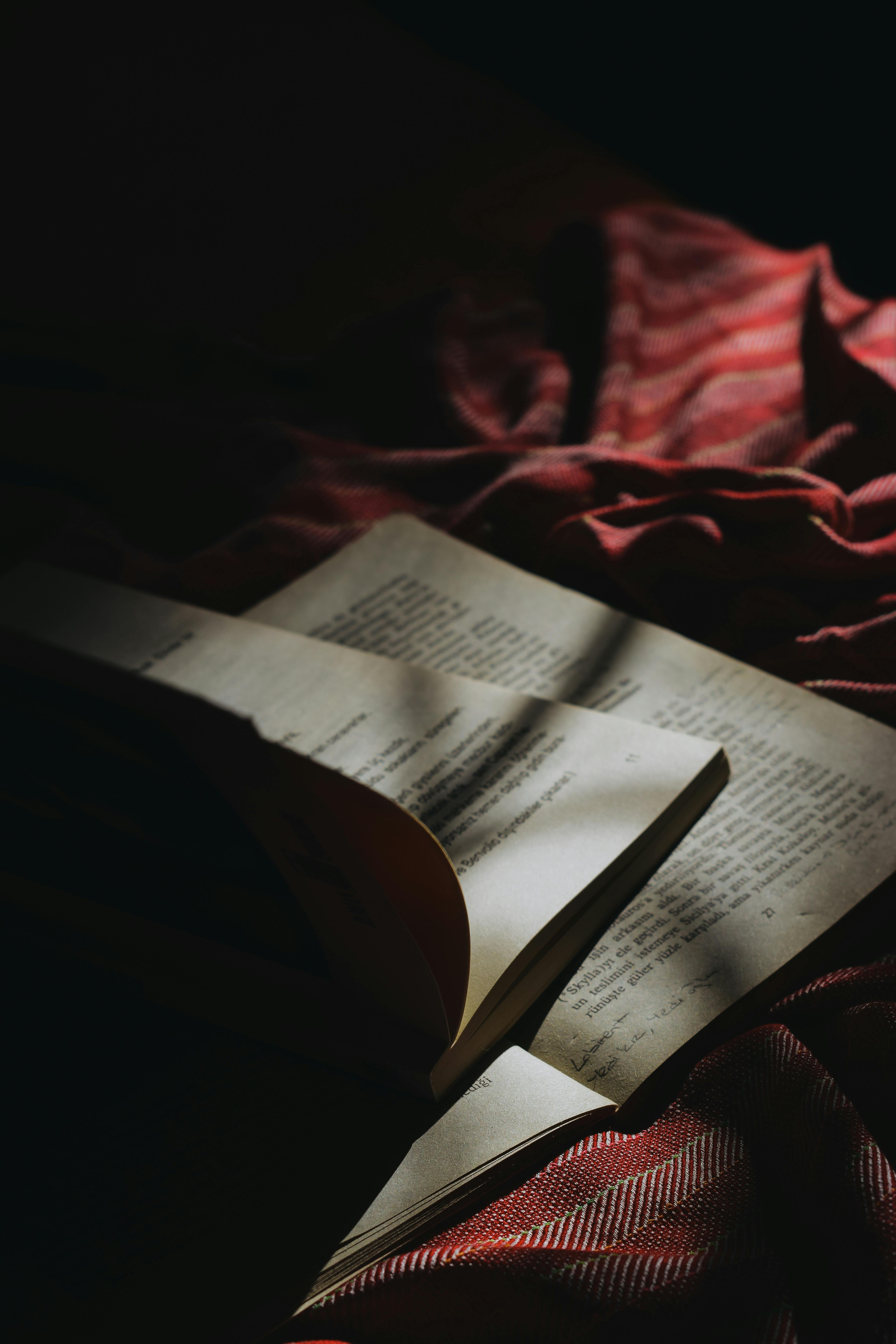 Book Worm Photos, Download The BEST Free Book Worm Stock Photos & HD Images