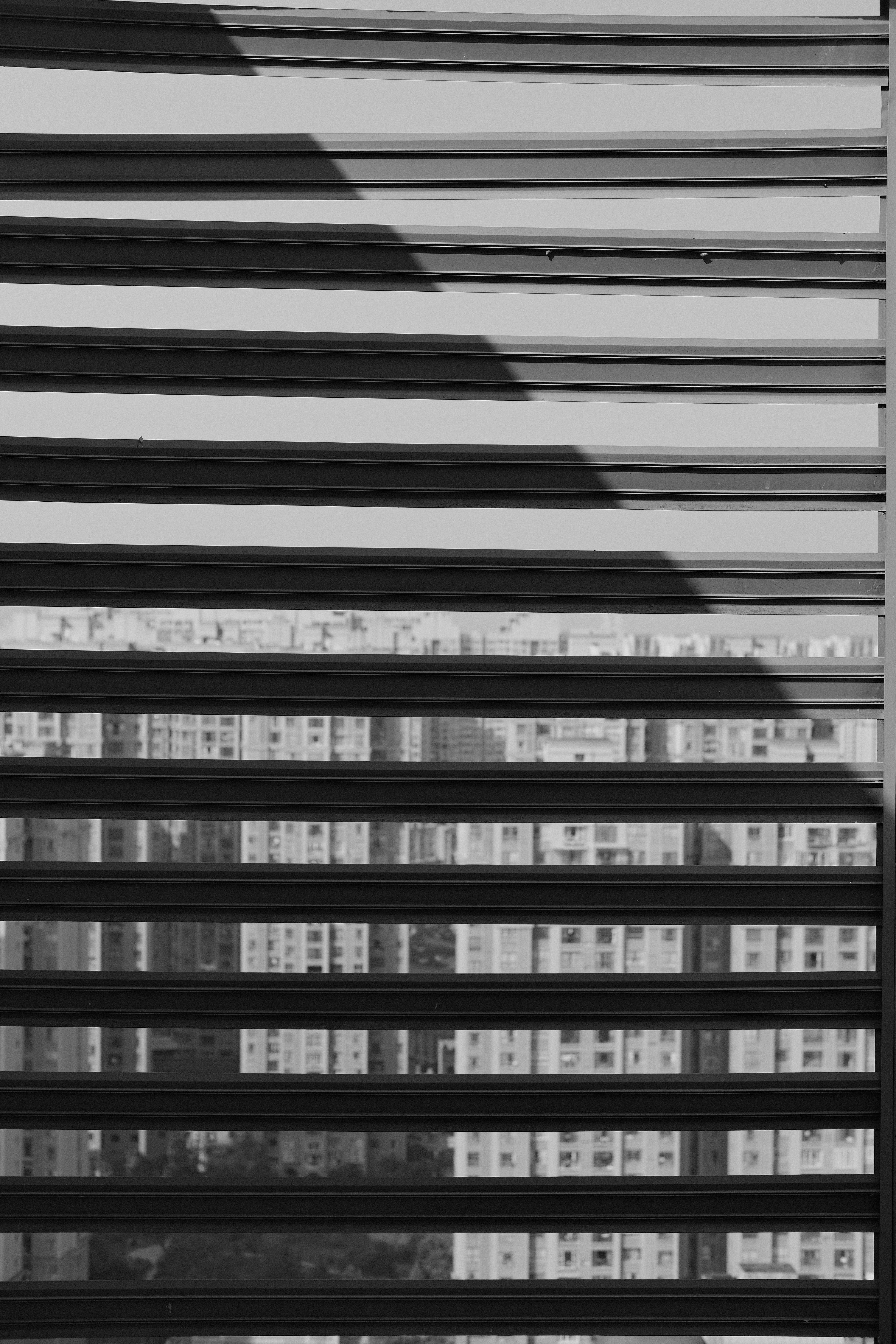 Black and white photo of a window with blinds · Free Stock Photo