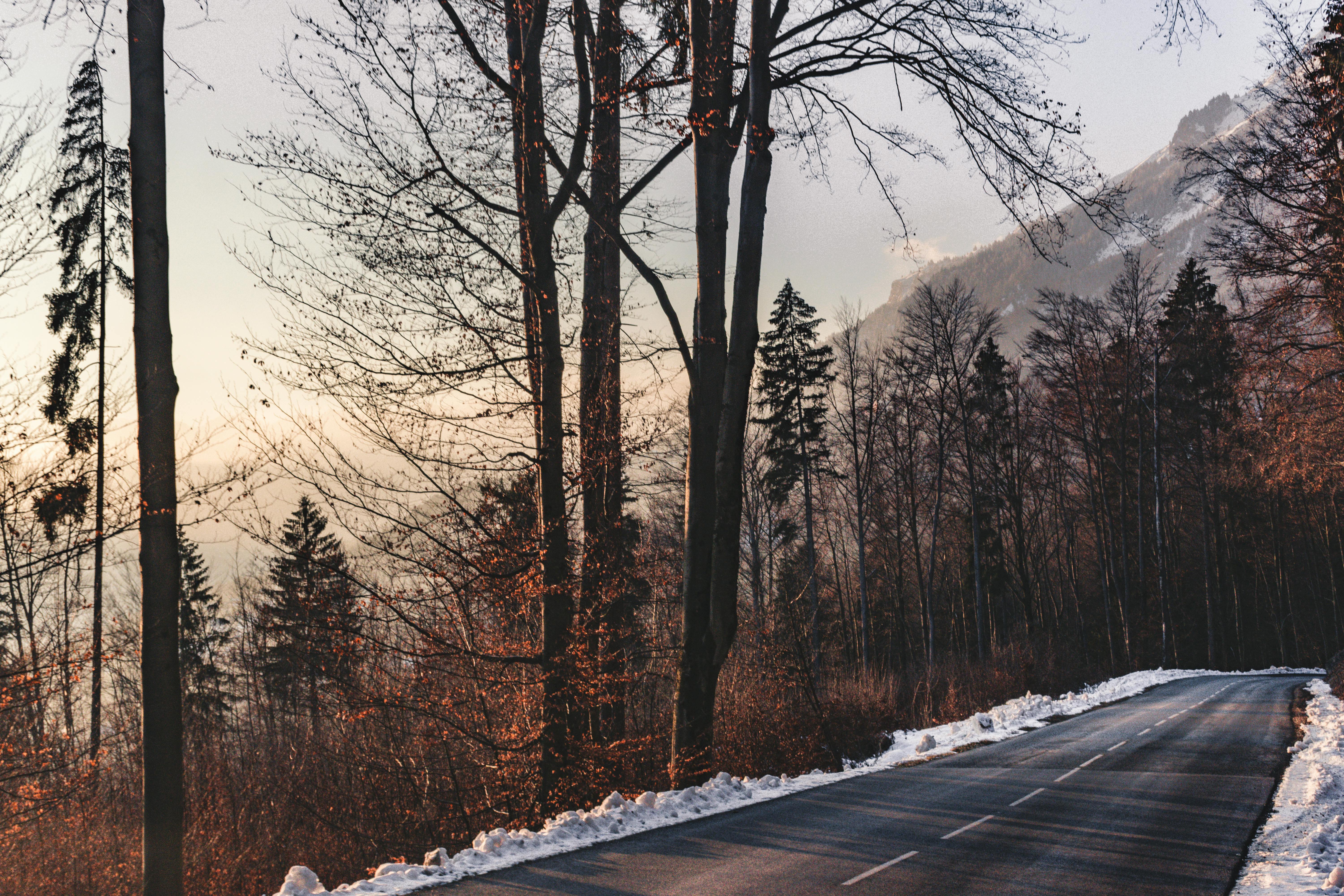 Empty Road · Free Stock Photo