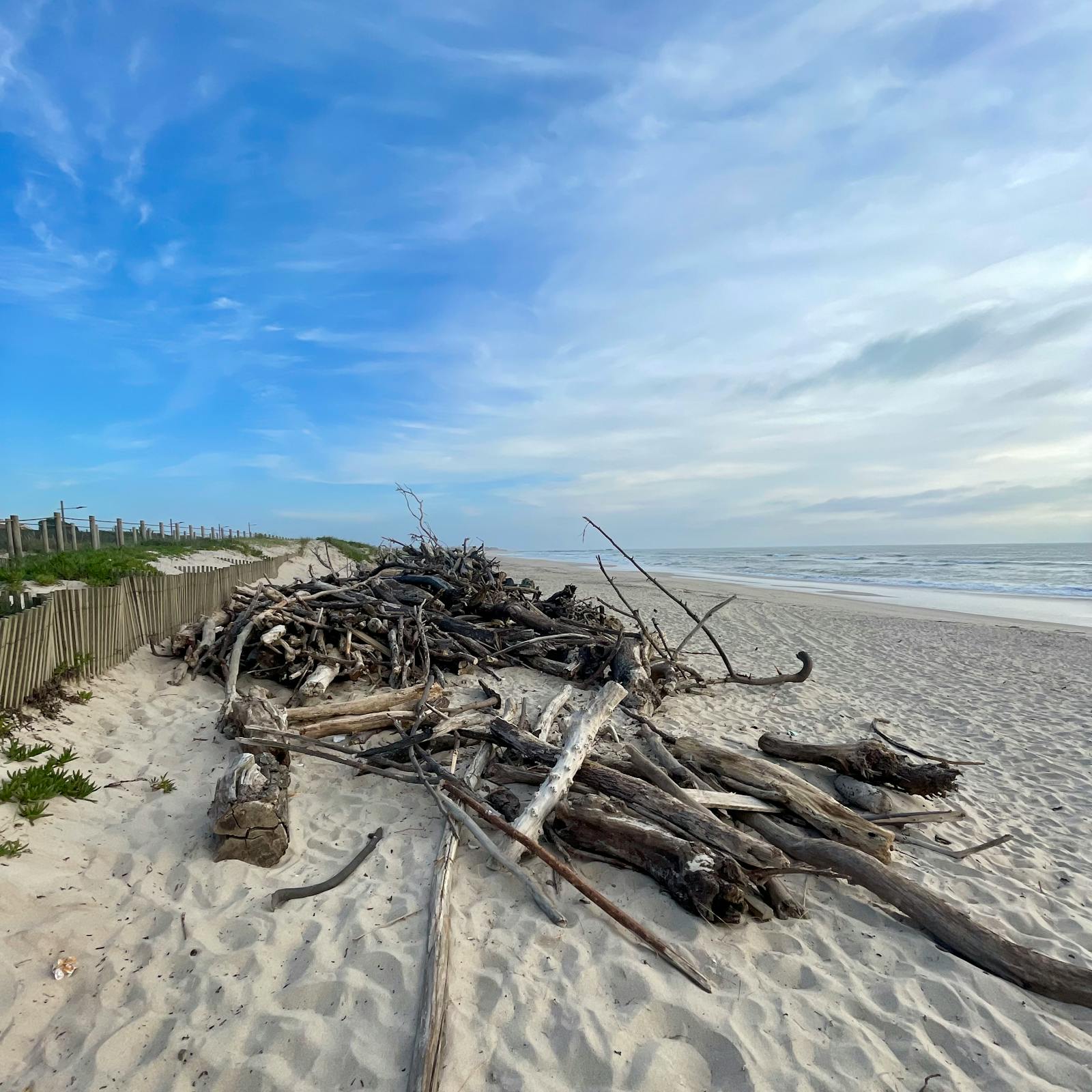 Pile Of Sticks Photos, Download The BEST Free Pile Of Sticks Stock ...