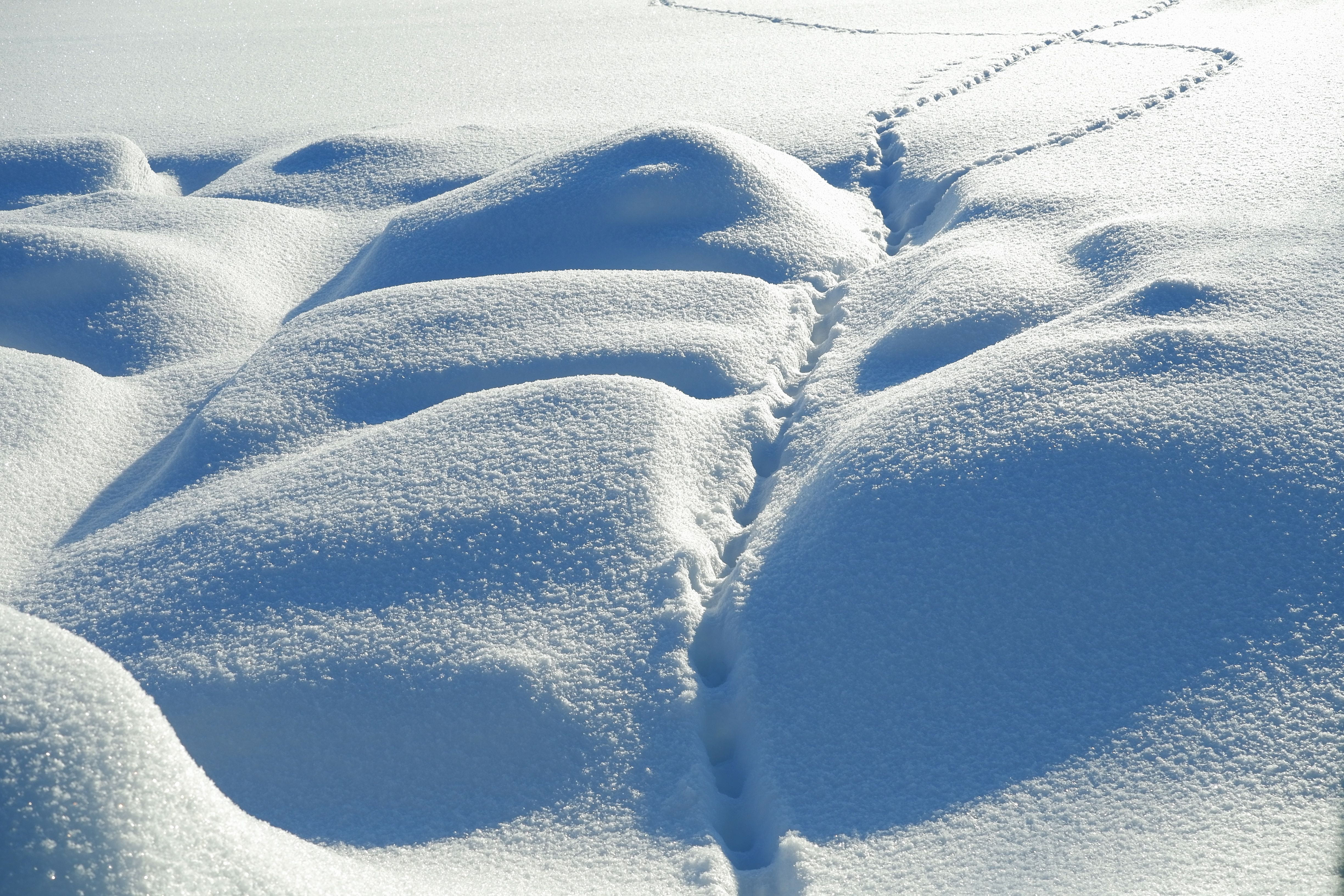 Close-up of a Thick Layer of Snow on the Ground · Free Stock Photo
