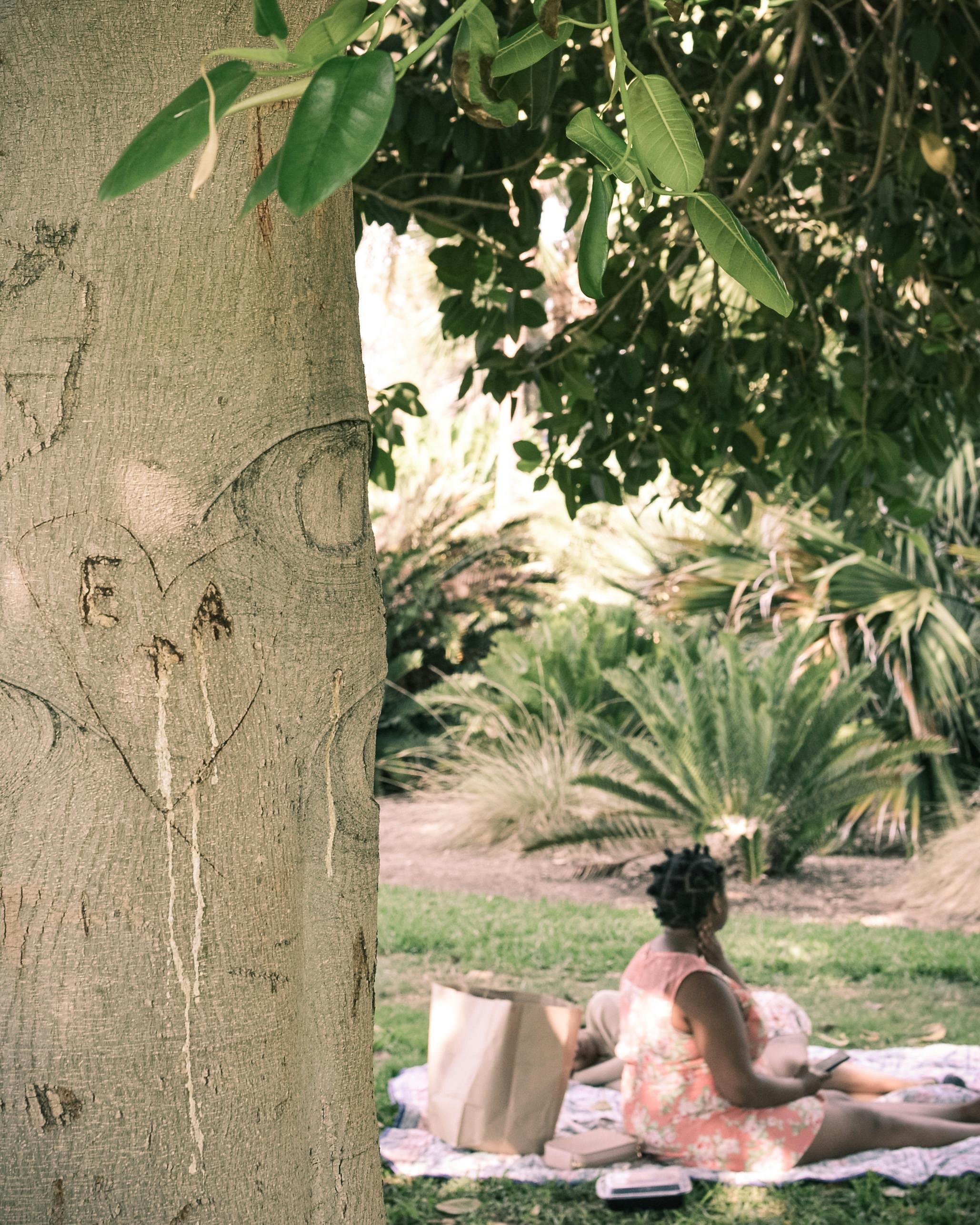 Book Thesis Photos, Download The BEST Free Book Thesis Stock Photos ...