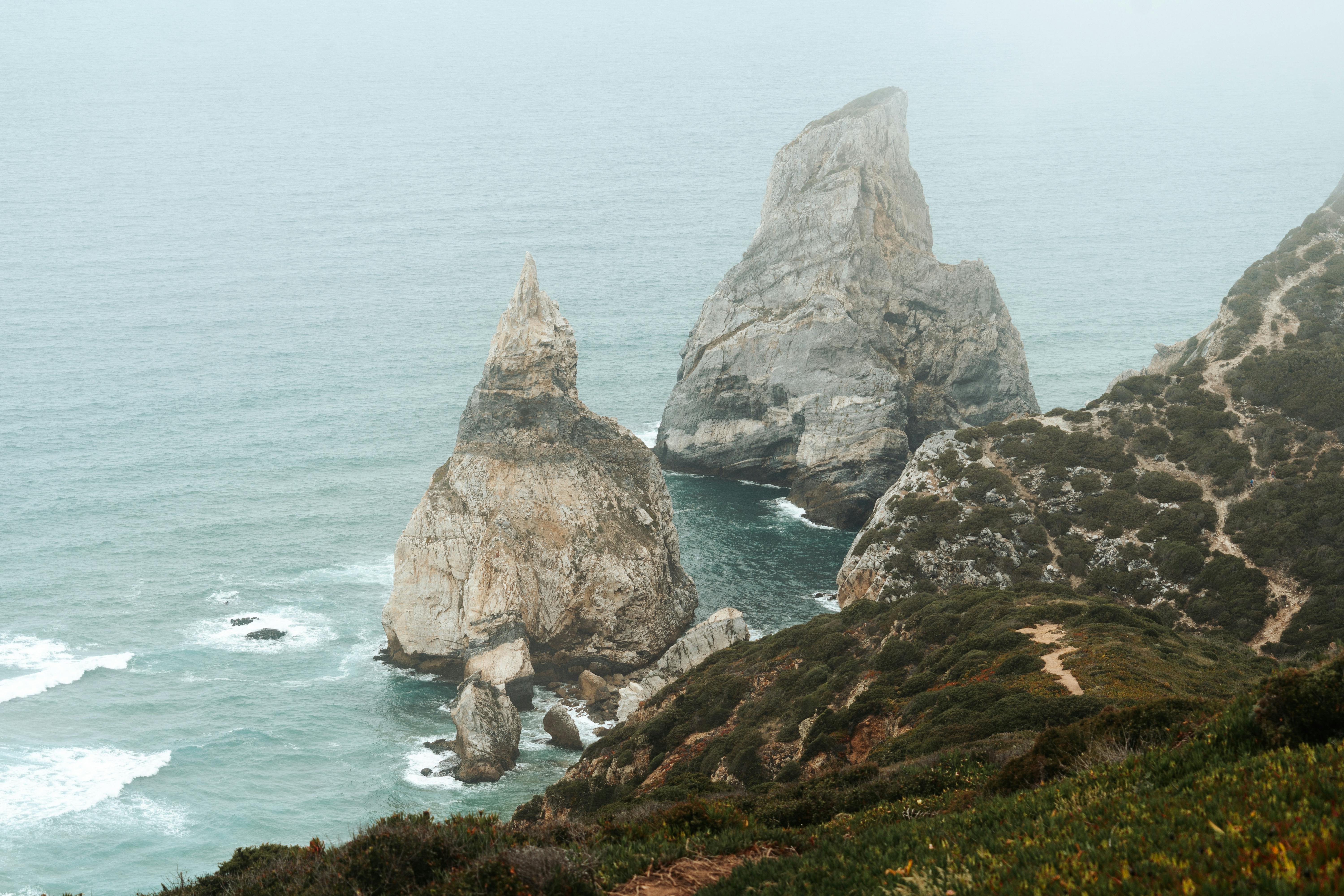A view of the ocean and cliffs from a hill · Free Stock Photo