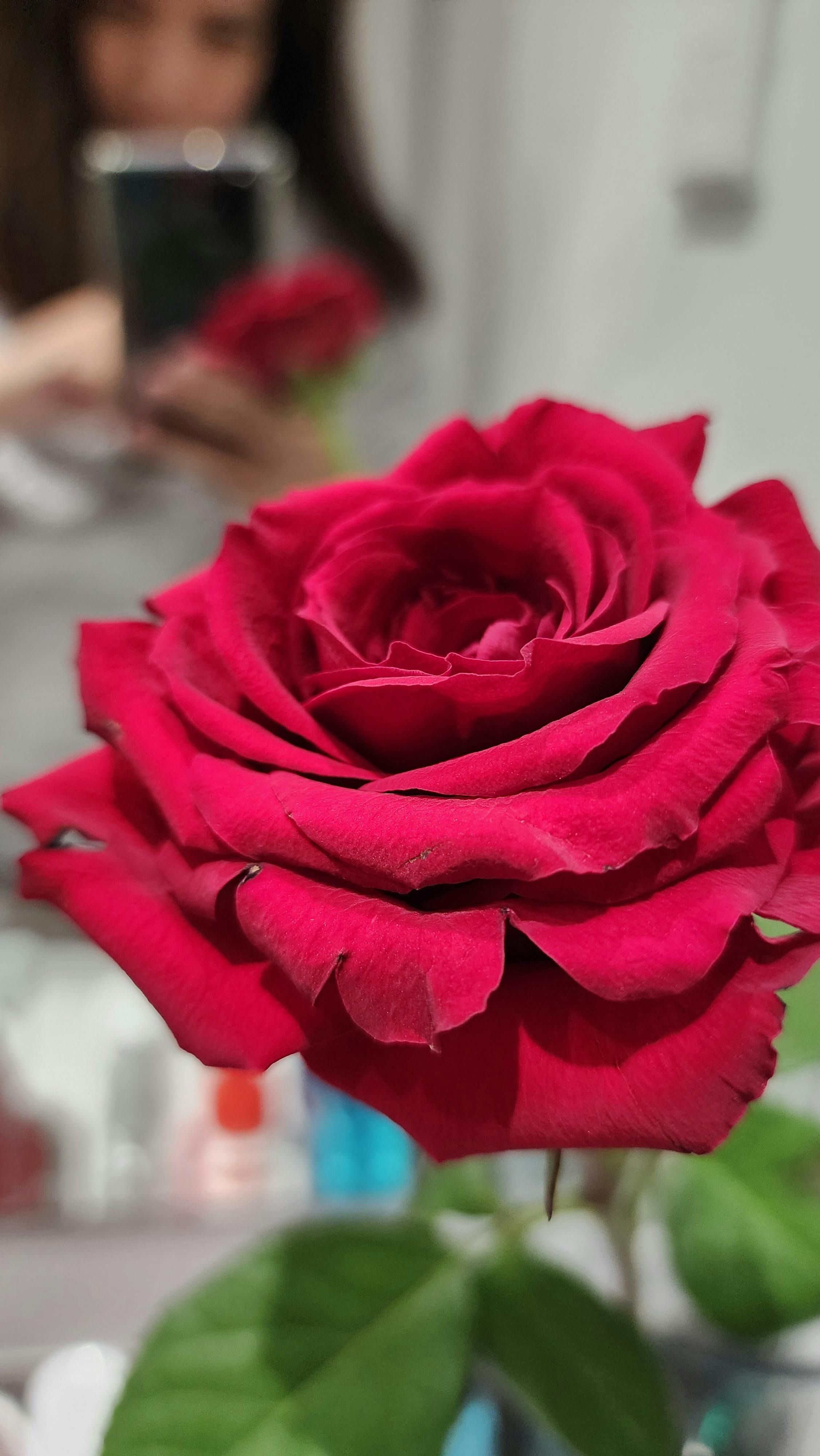 Ivy Marie - Photography