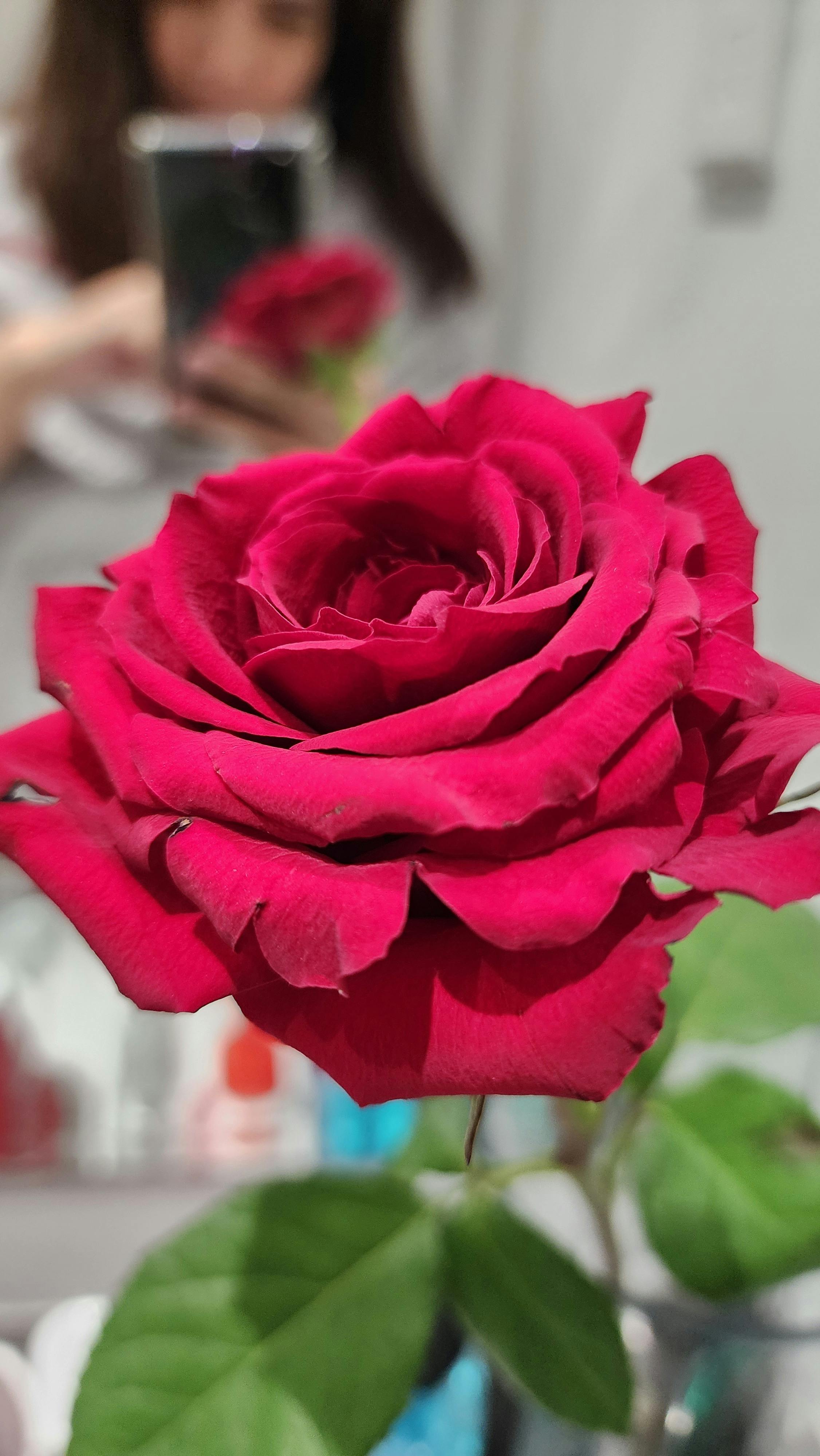 Ivy Marie - Photography