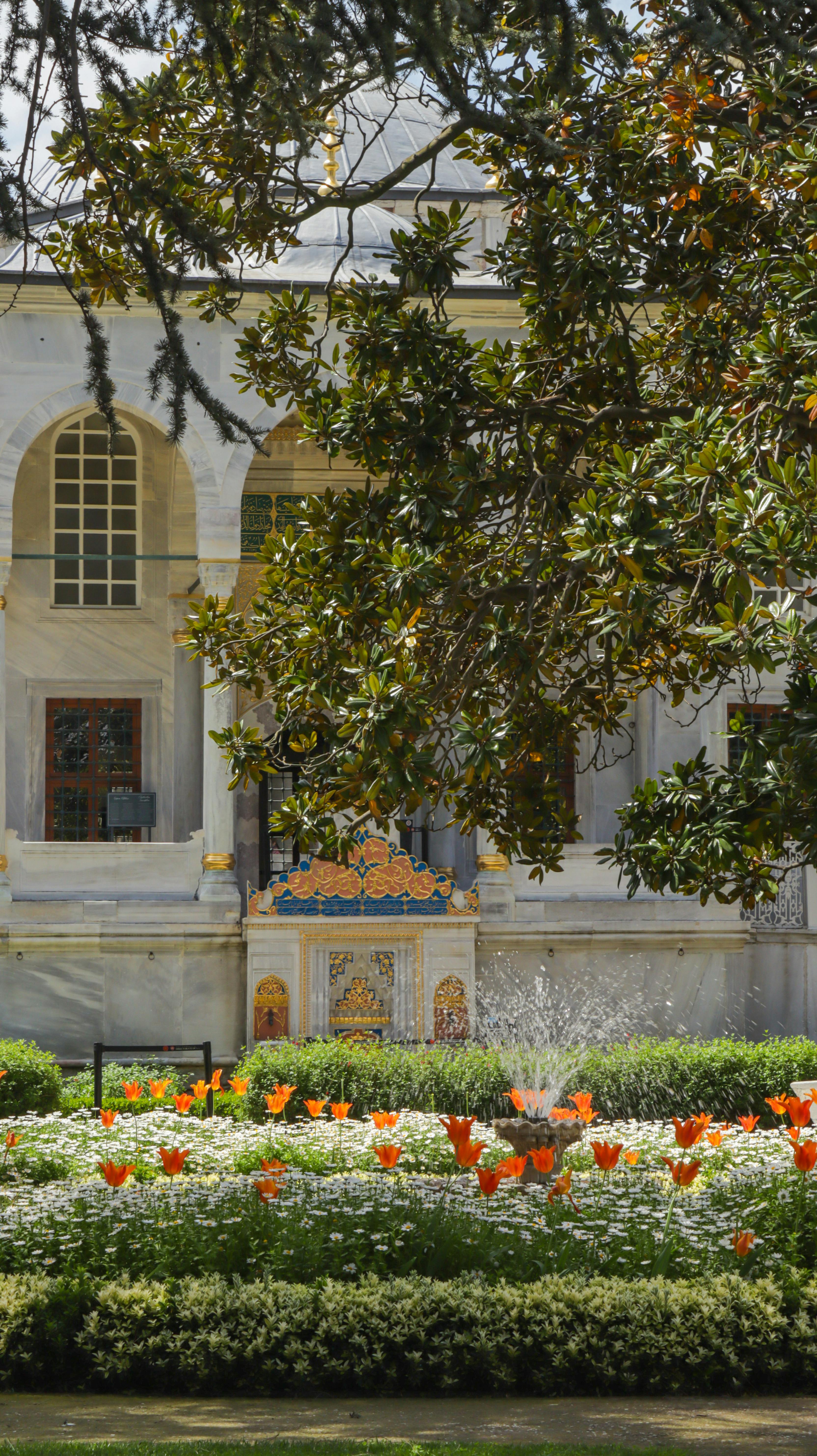 Topkapi Palace in Istanbul behind a Tree · Free Stock Photo