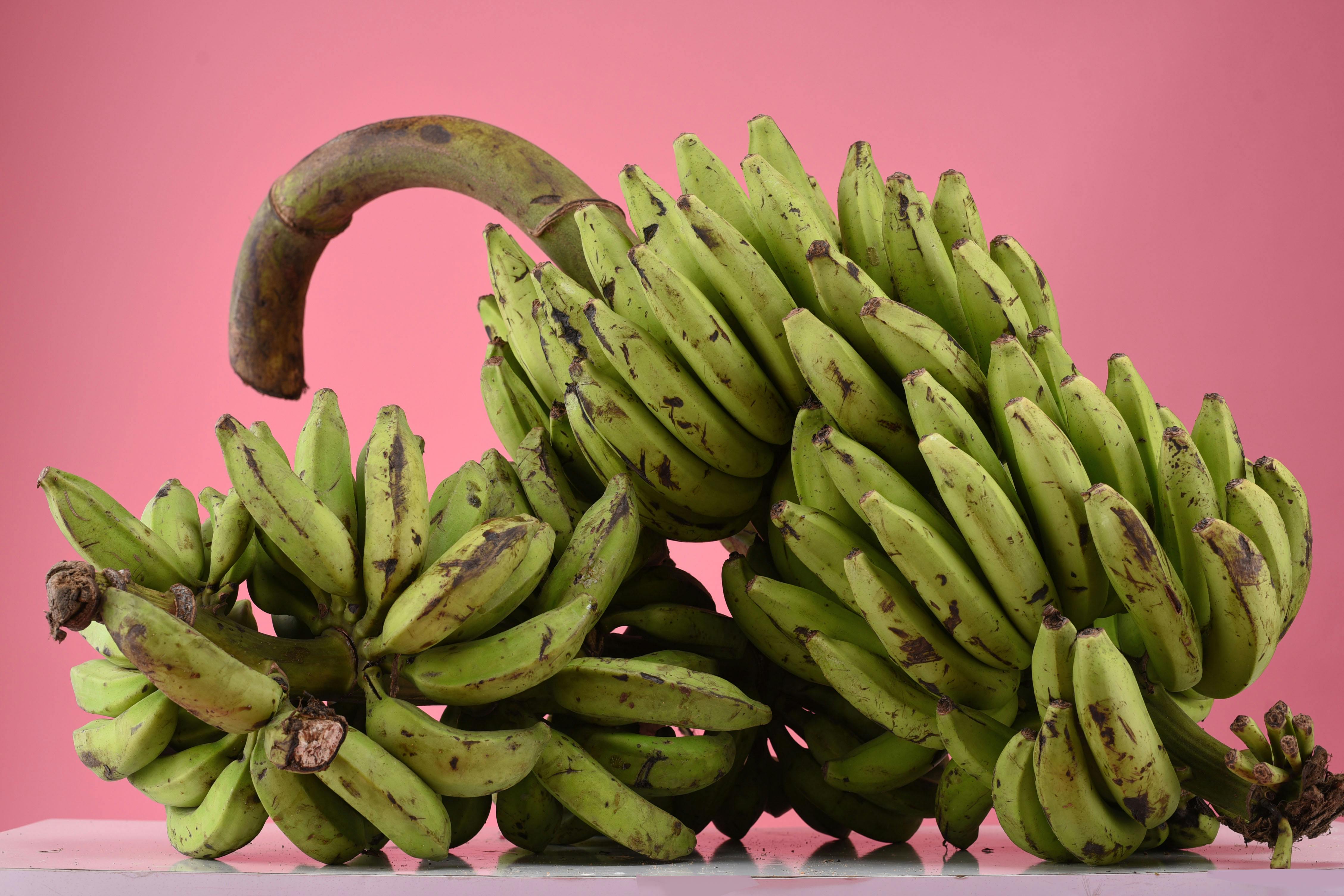 Bunches of Bananas · Free Stock Photo