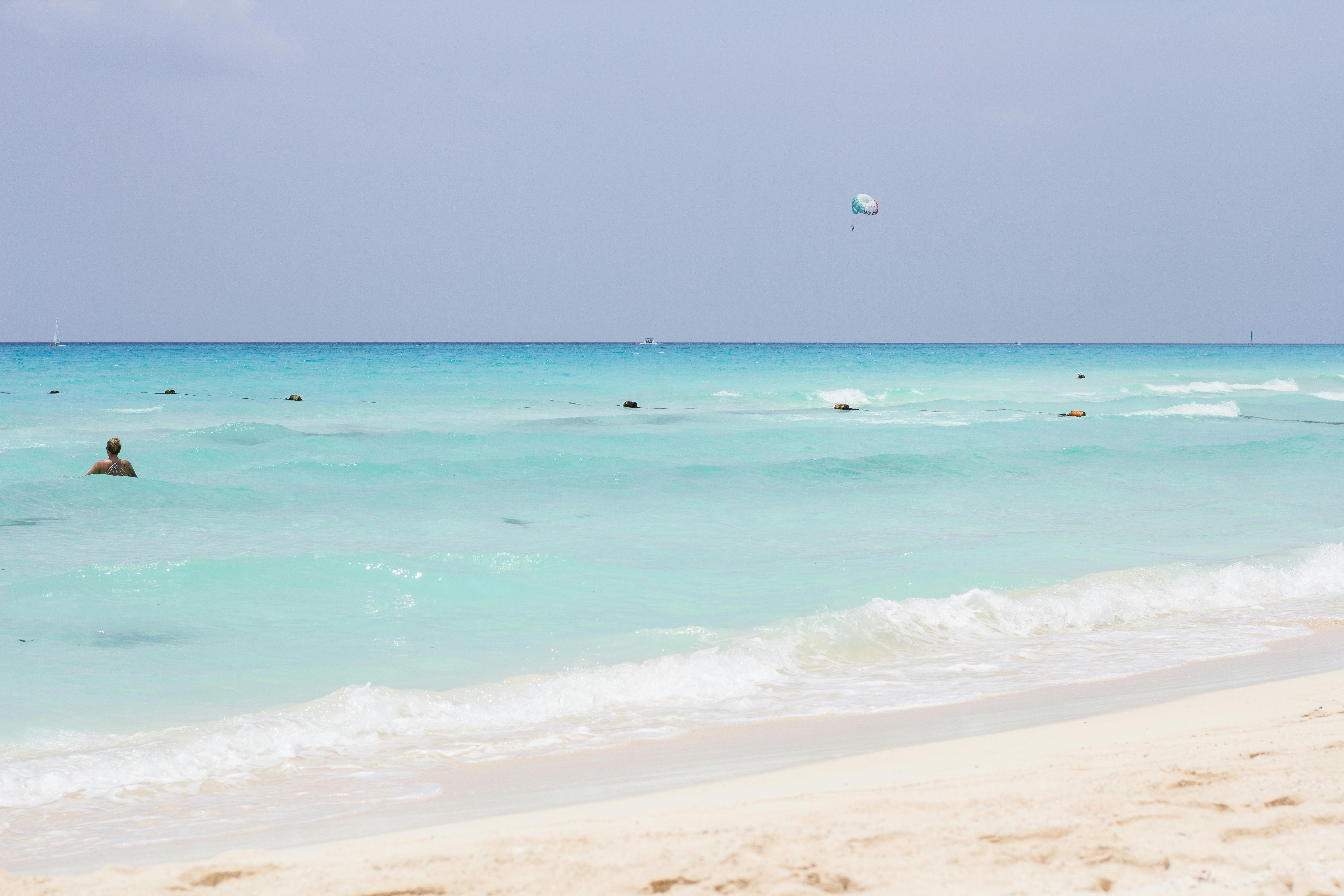 People on Caribbean Seashore · Free Stock Photo
