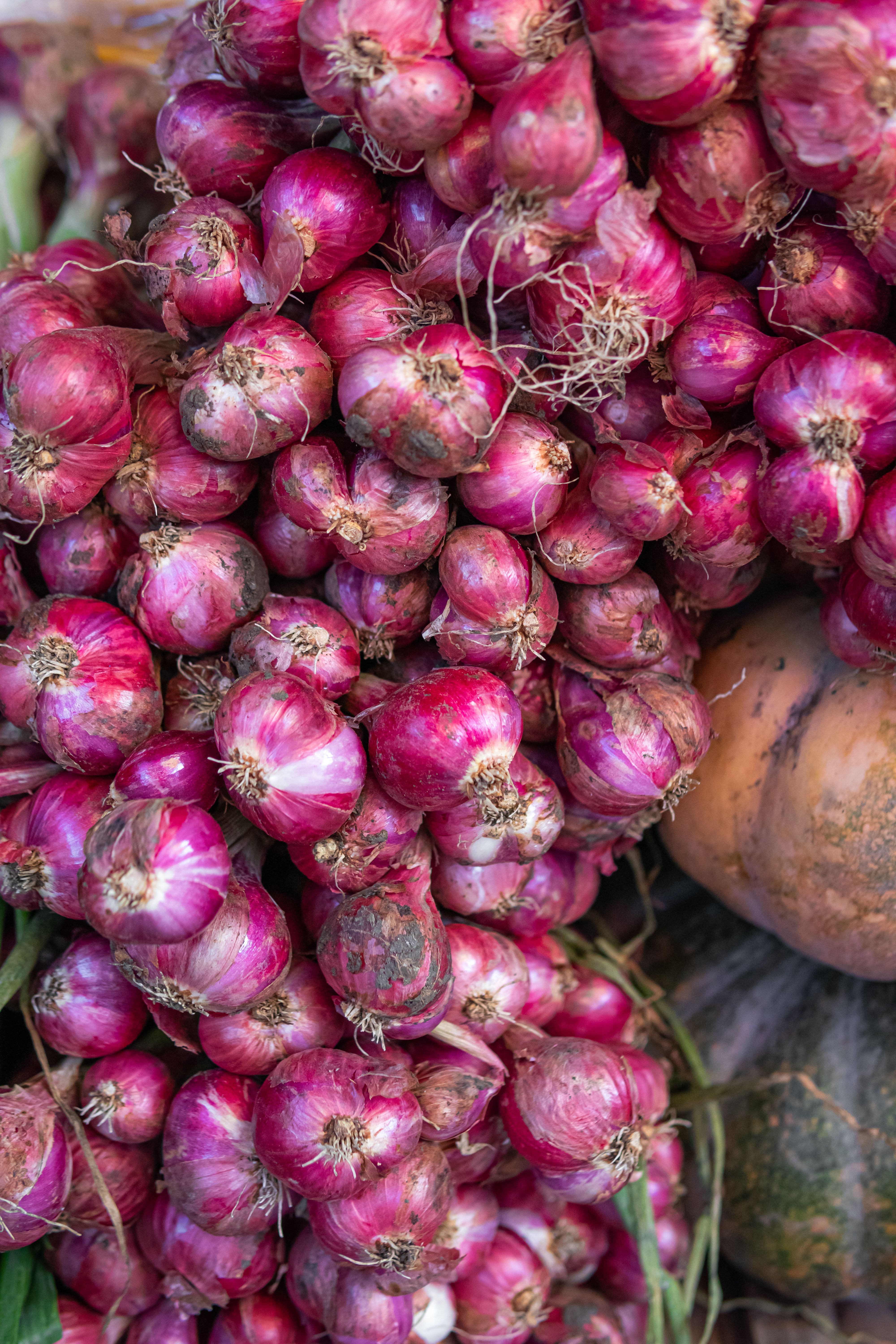 Mound of Red Onion · Free Stock Photo