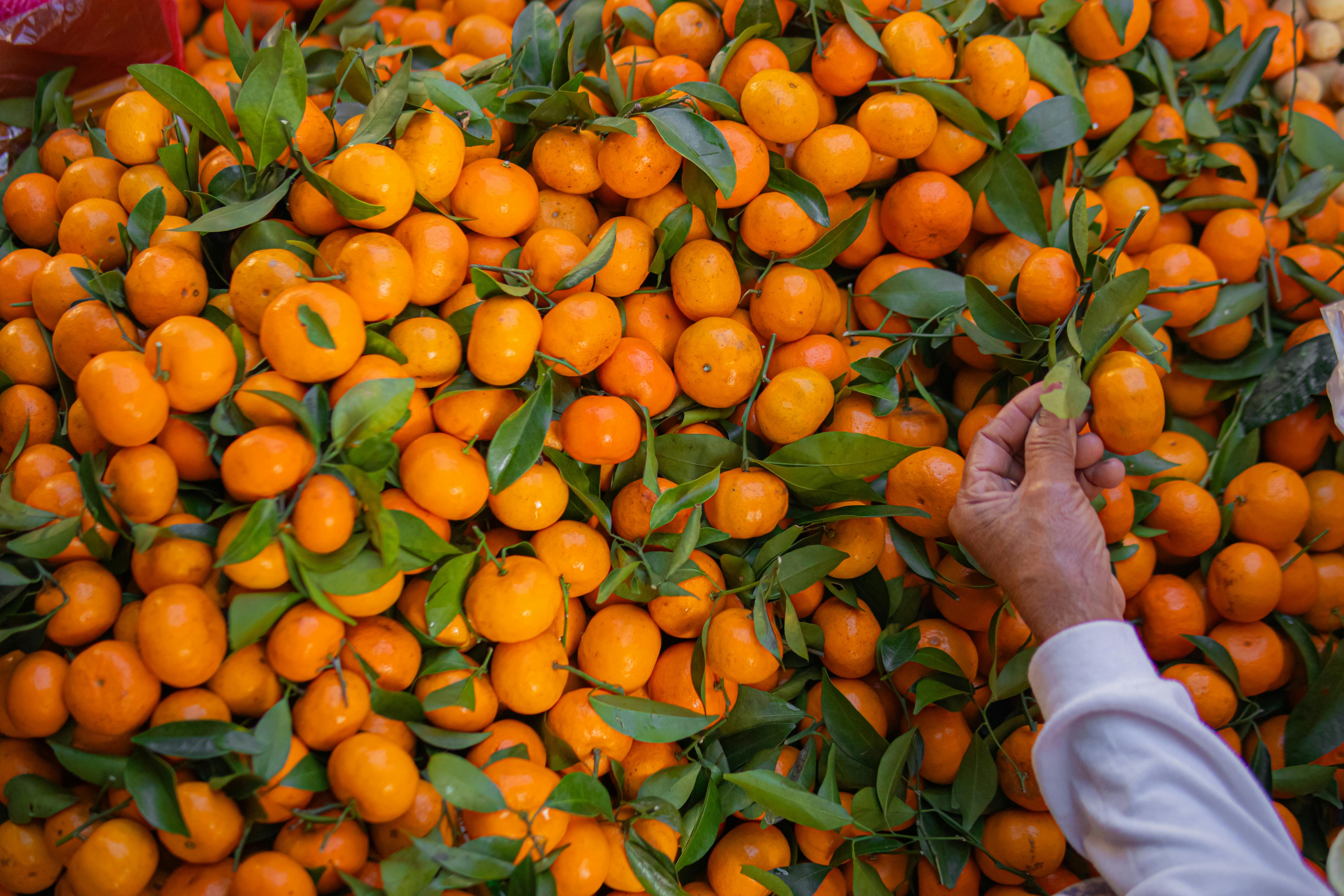 Photo of Ipad on Orange Fruits · Free Stock Photo