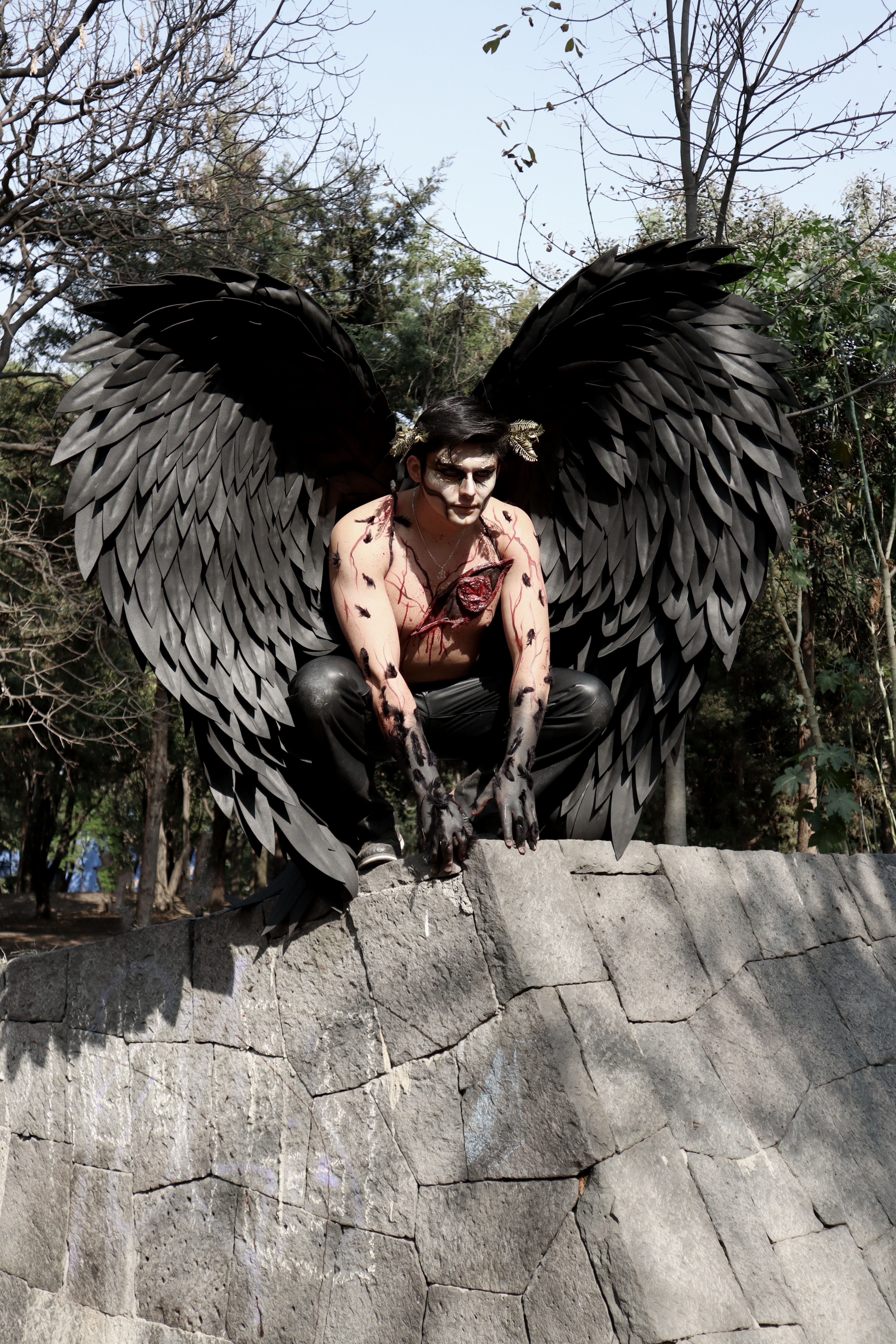 Foto profissional gratuita de anjo, capeta, cobertura, fantasia, homem ...