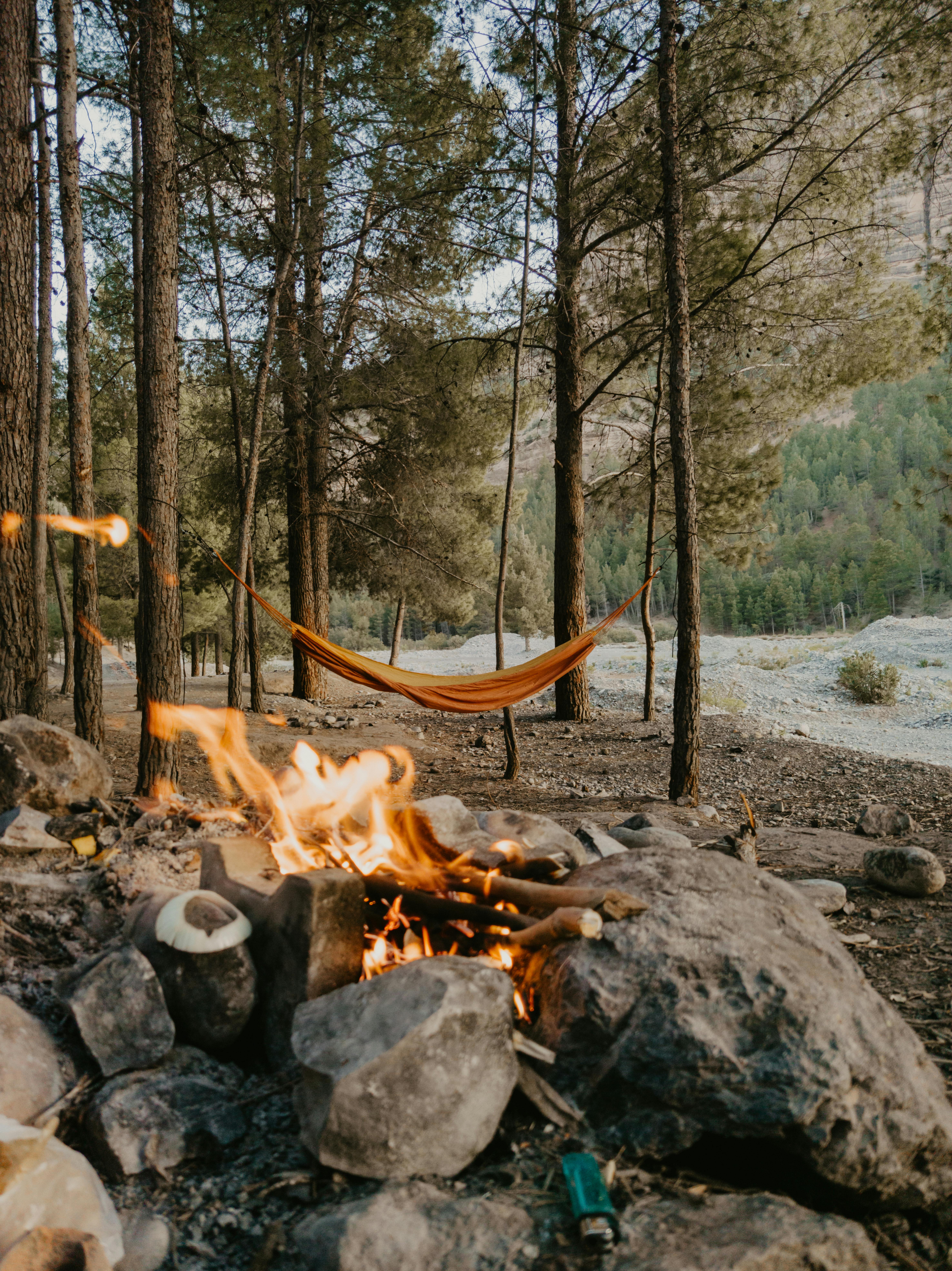 Bonfire at a Campsite in a Forest · Free Stock Photo