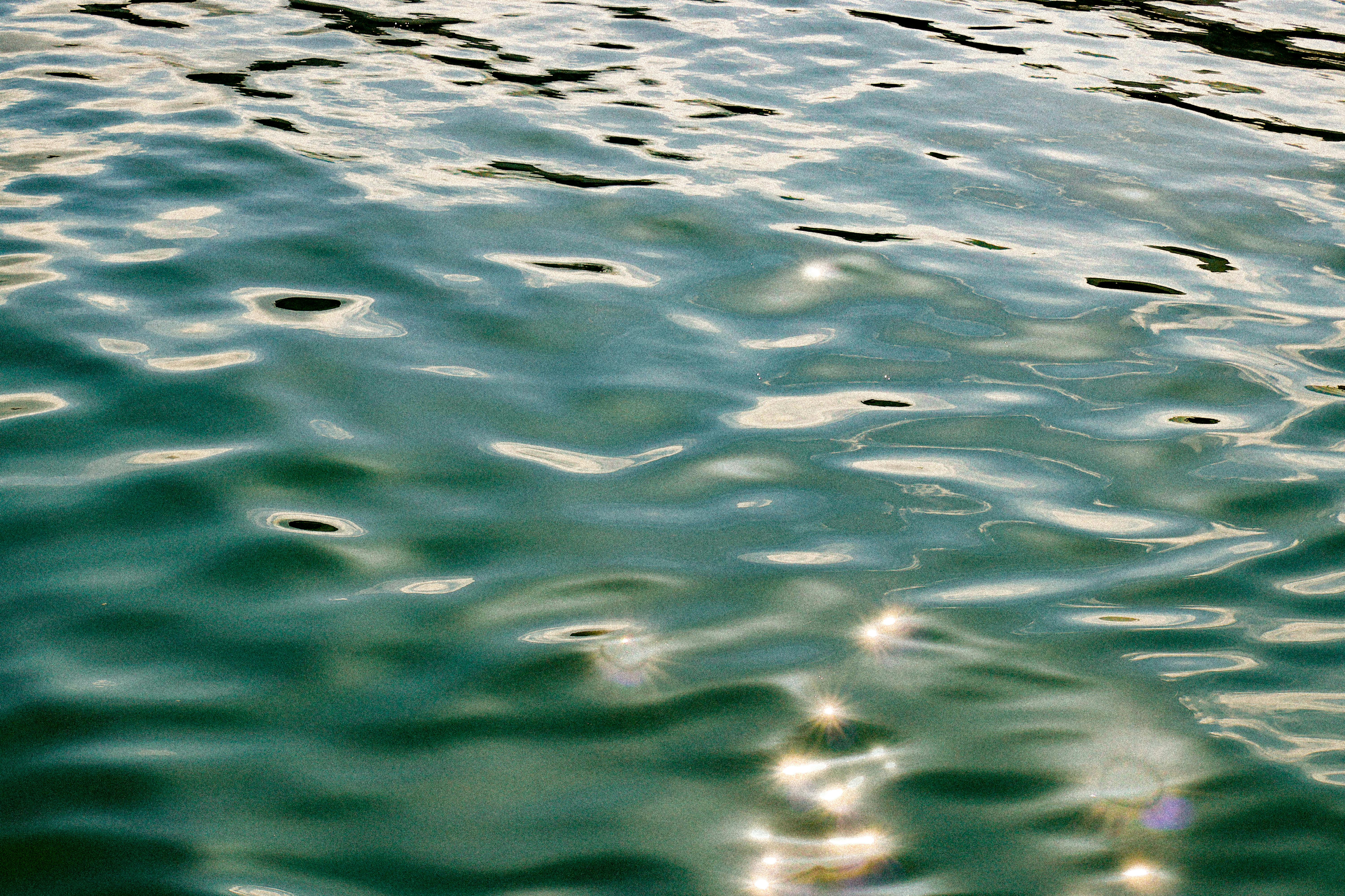 Surface of a Lake or Sea · Free Stock Photo