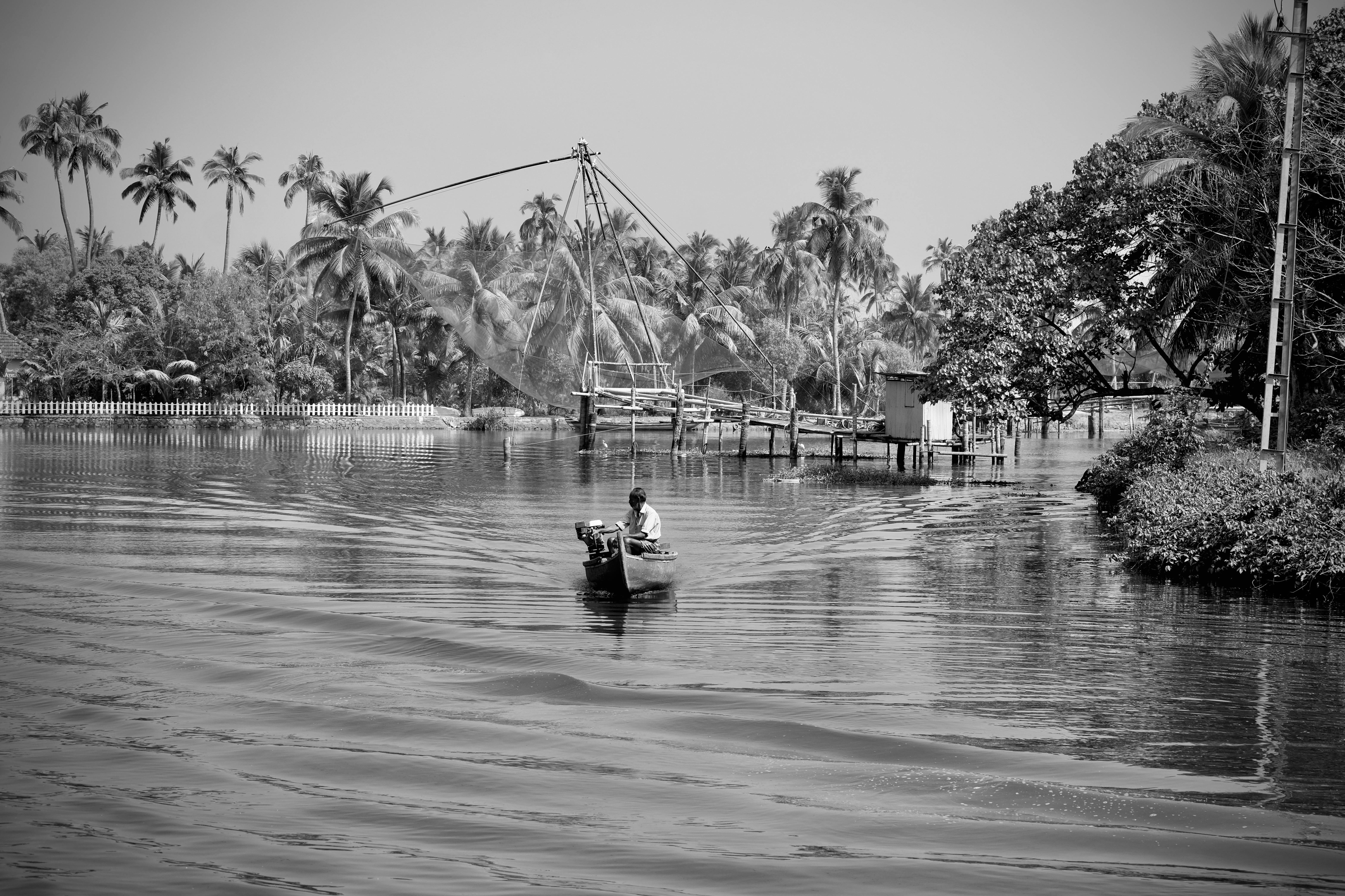 Man Boating on Lake · Free Stock Photo