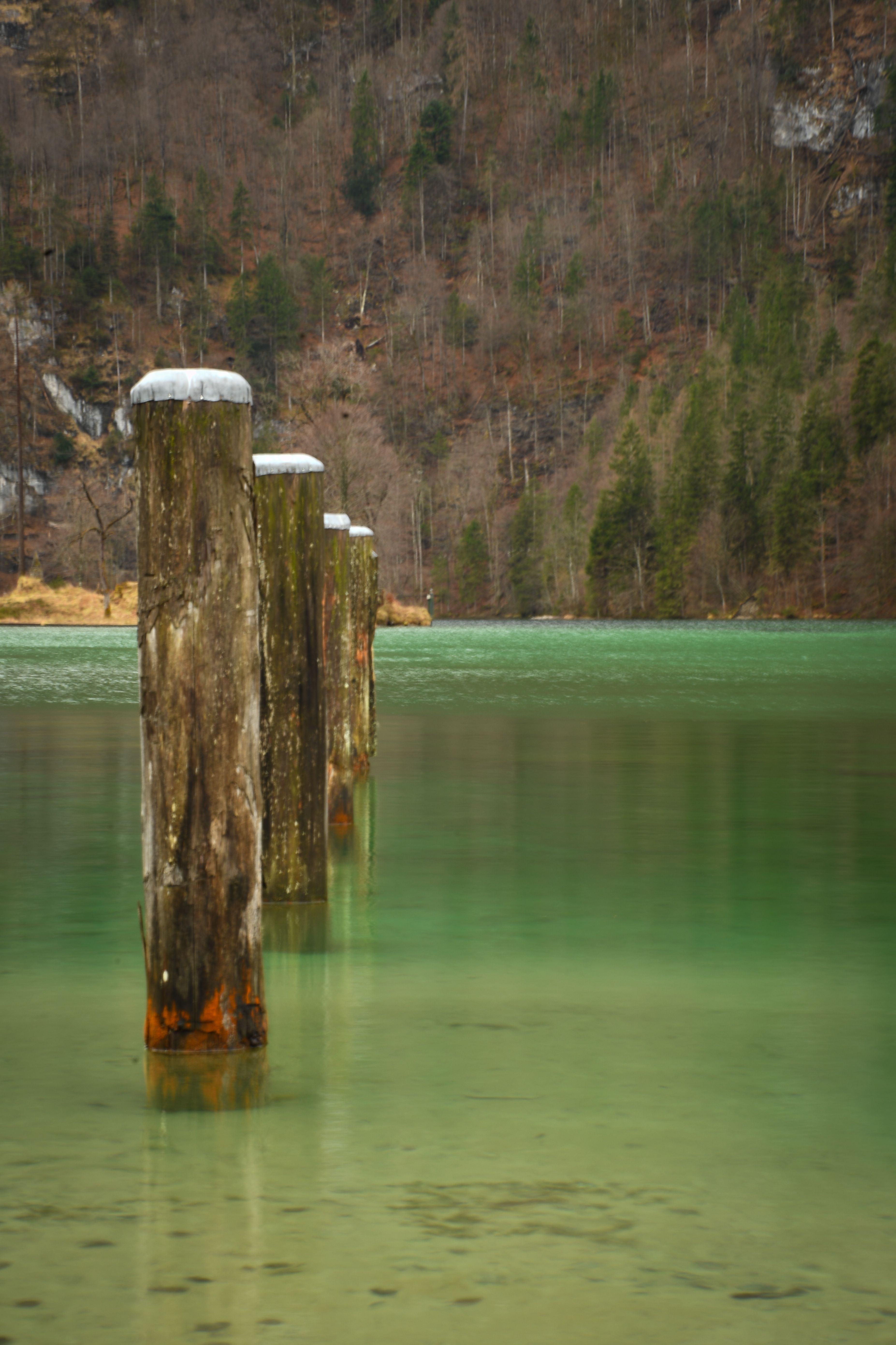 Timber Piles Photos, Download The BEST Free Timber Piles Stock Photos ...