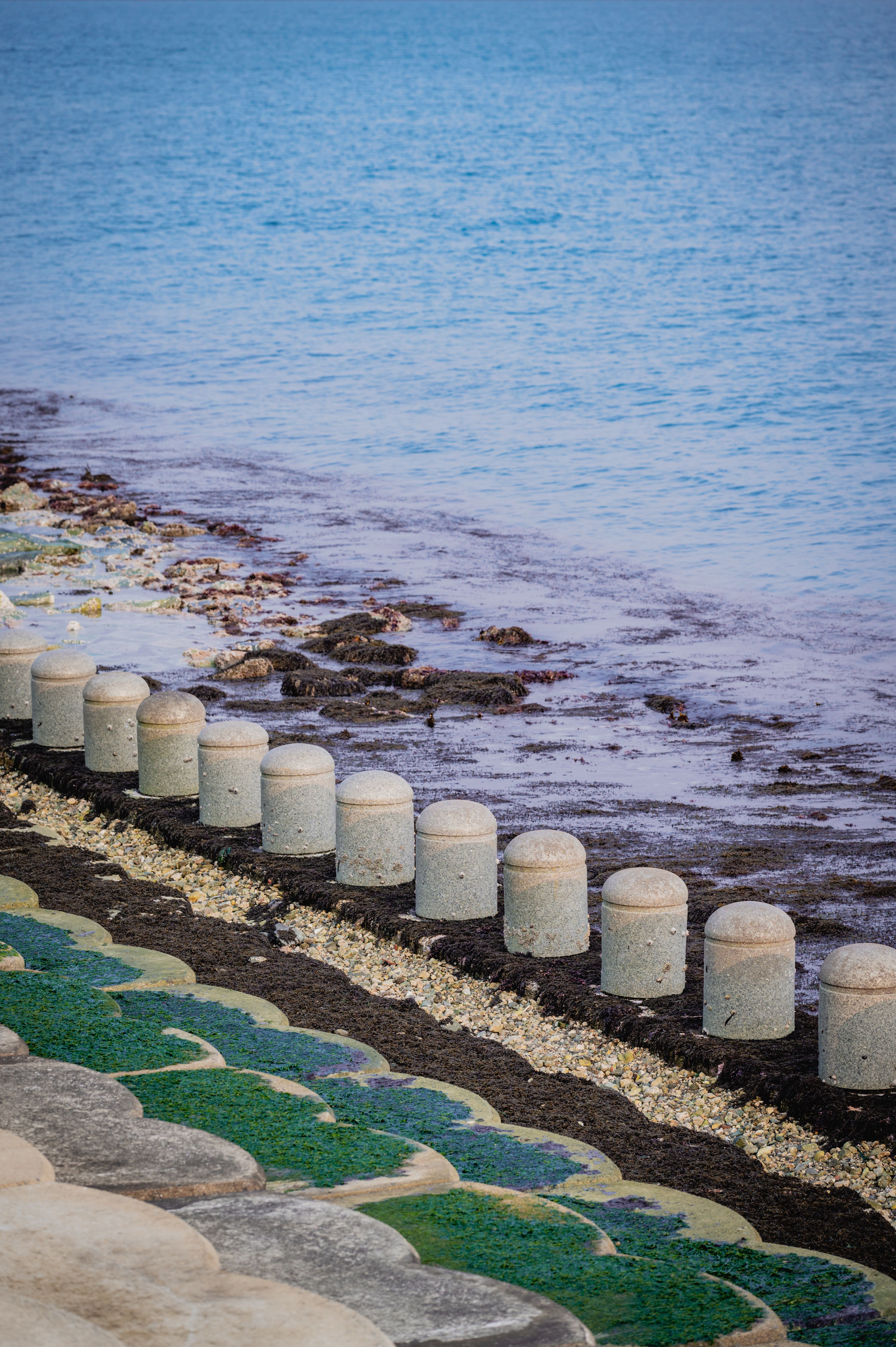 Seashore with Concrete Flood Bank and Seaweed · Free Stock Photo