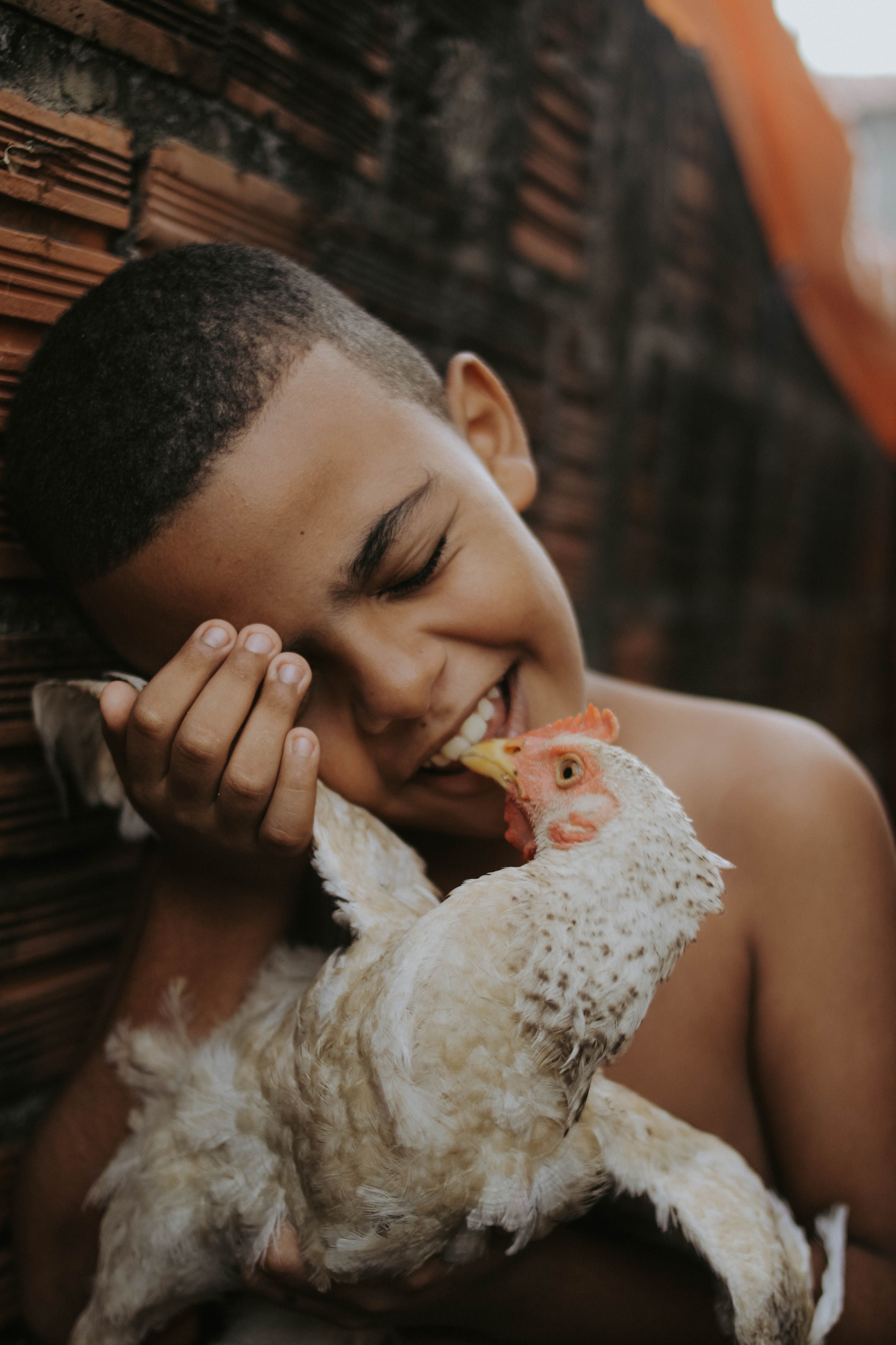 A young boy holding a chicken in his hand · Free Stock Photo