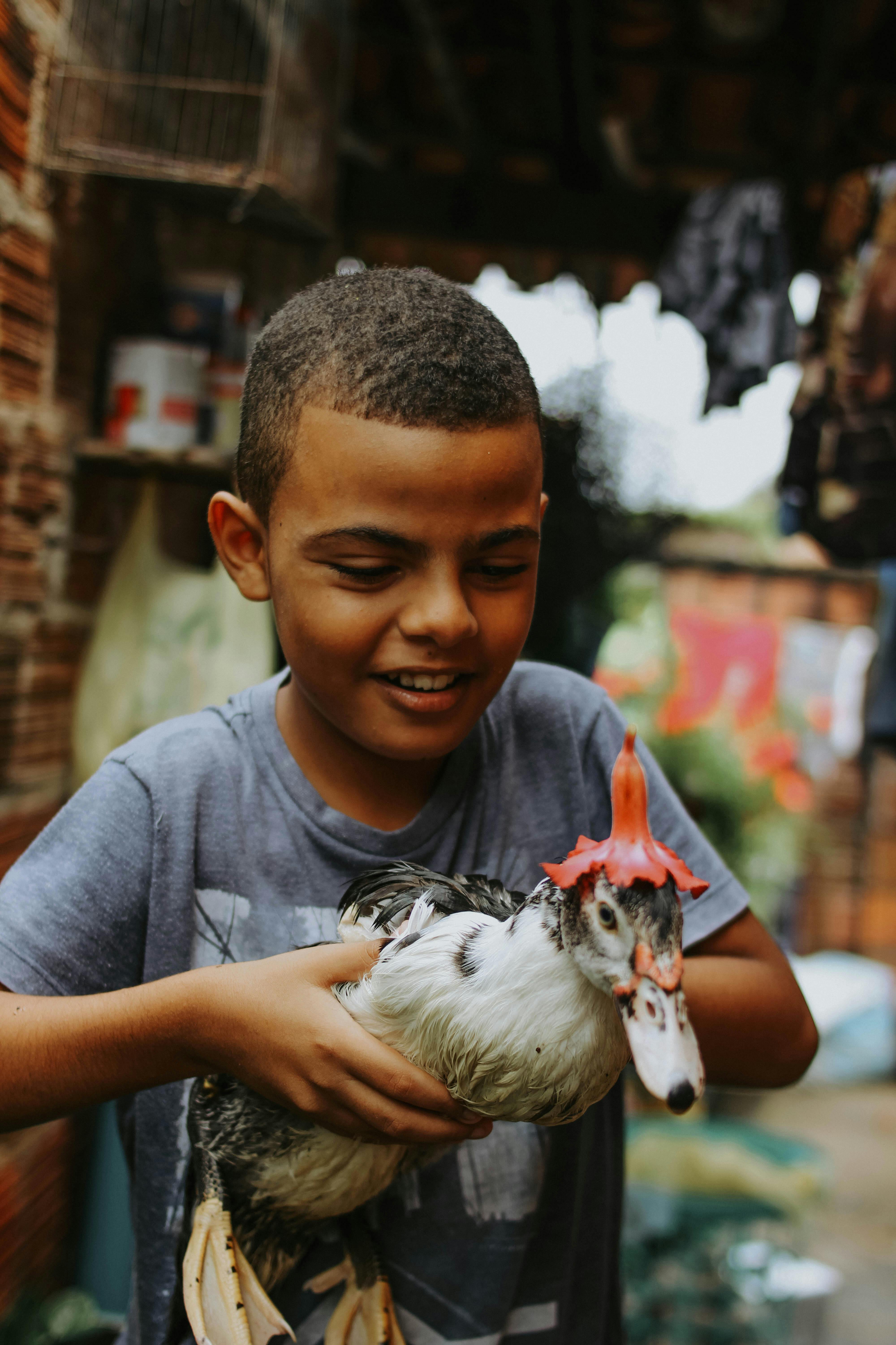 Gabriel Frank - Fotografi