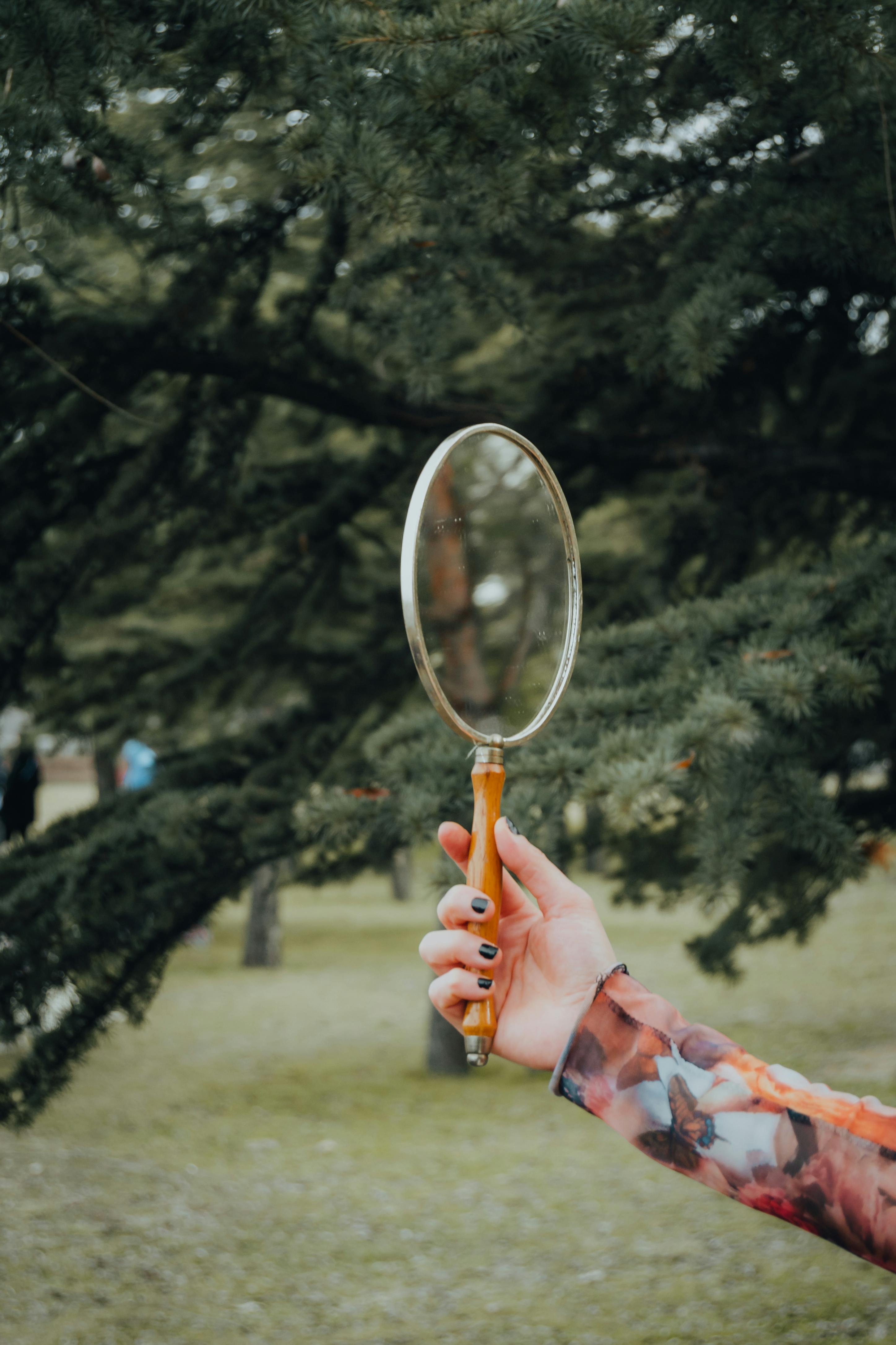 Mirror in Woman Hand · Free Stock Photo