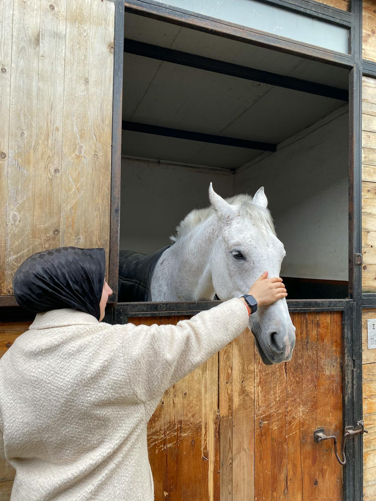 Patting On Back Photos, Download The BEST Free Patting On Back Stock ...