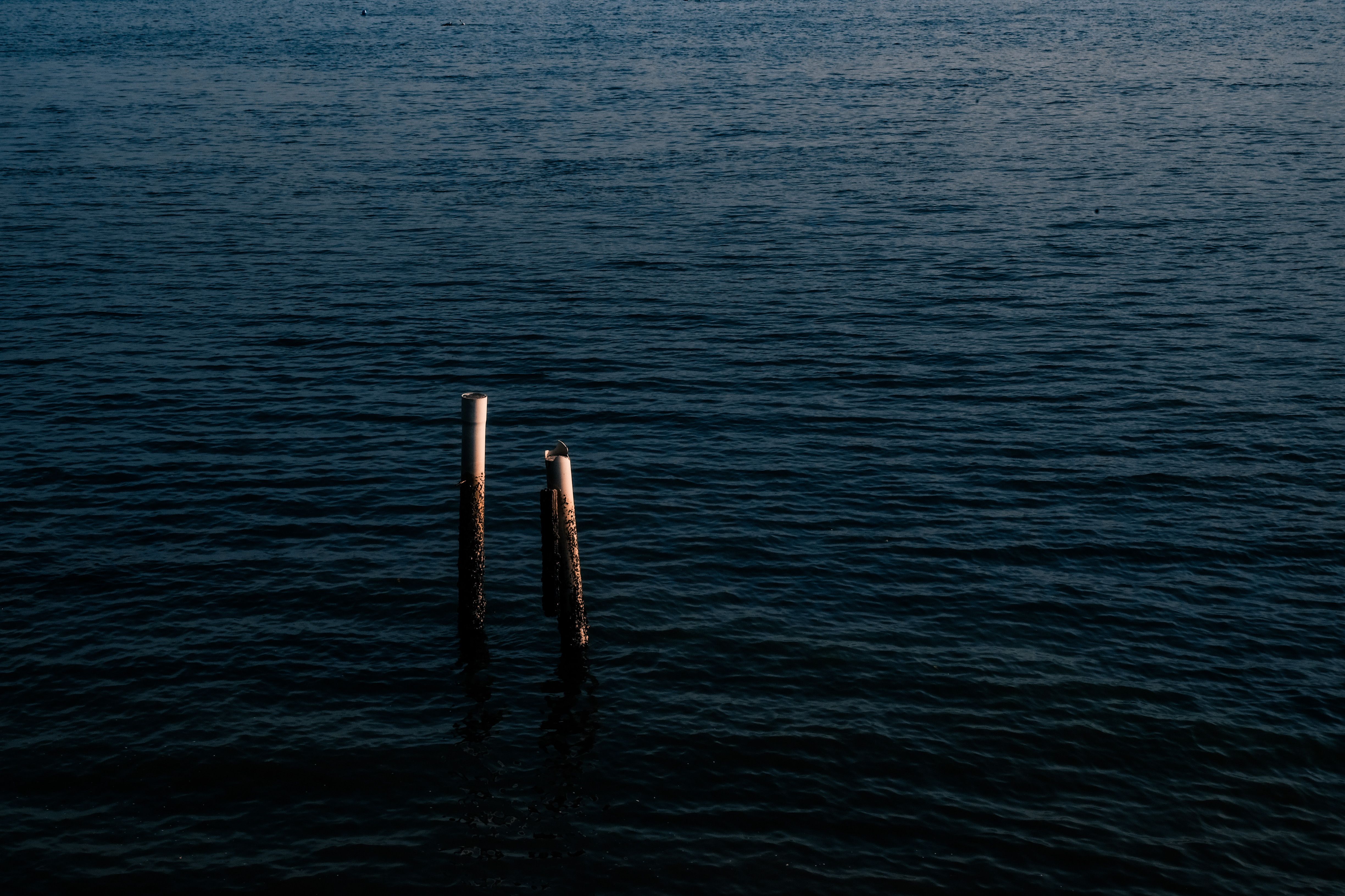 Posts in Sea · Free Stock Photo