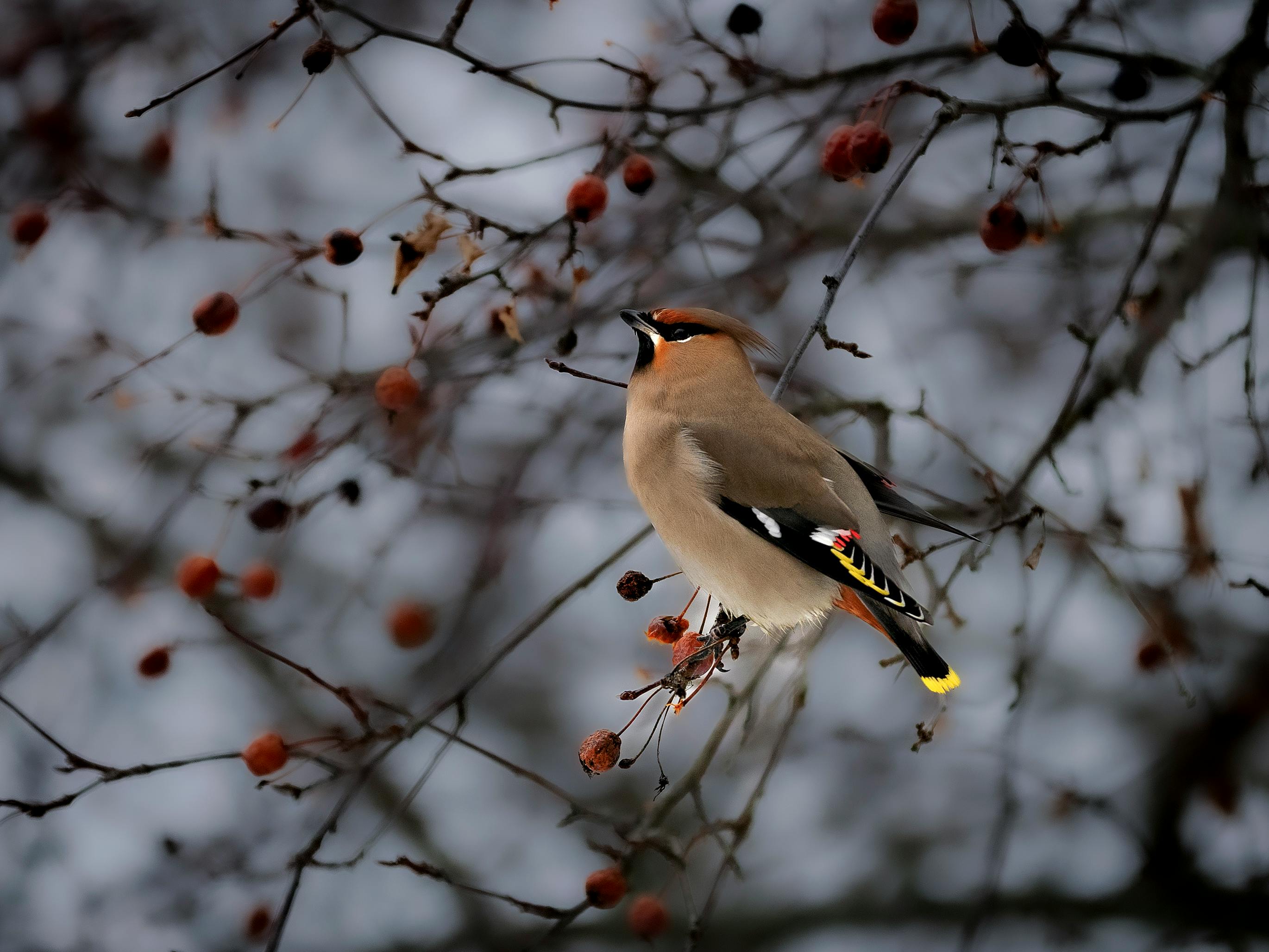 Colorfull Photos, Download The BEST Free Colorfull Stock Photos & HD Images