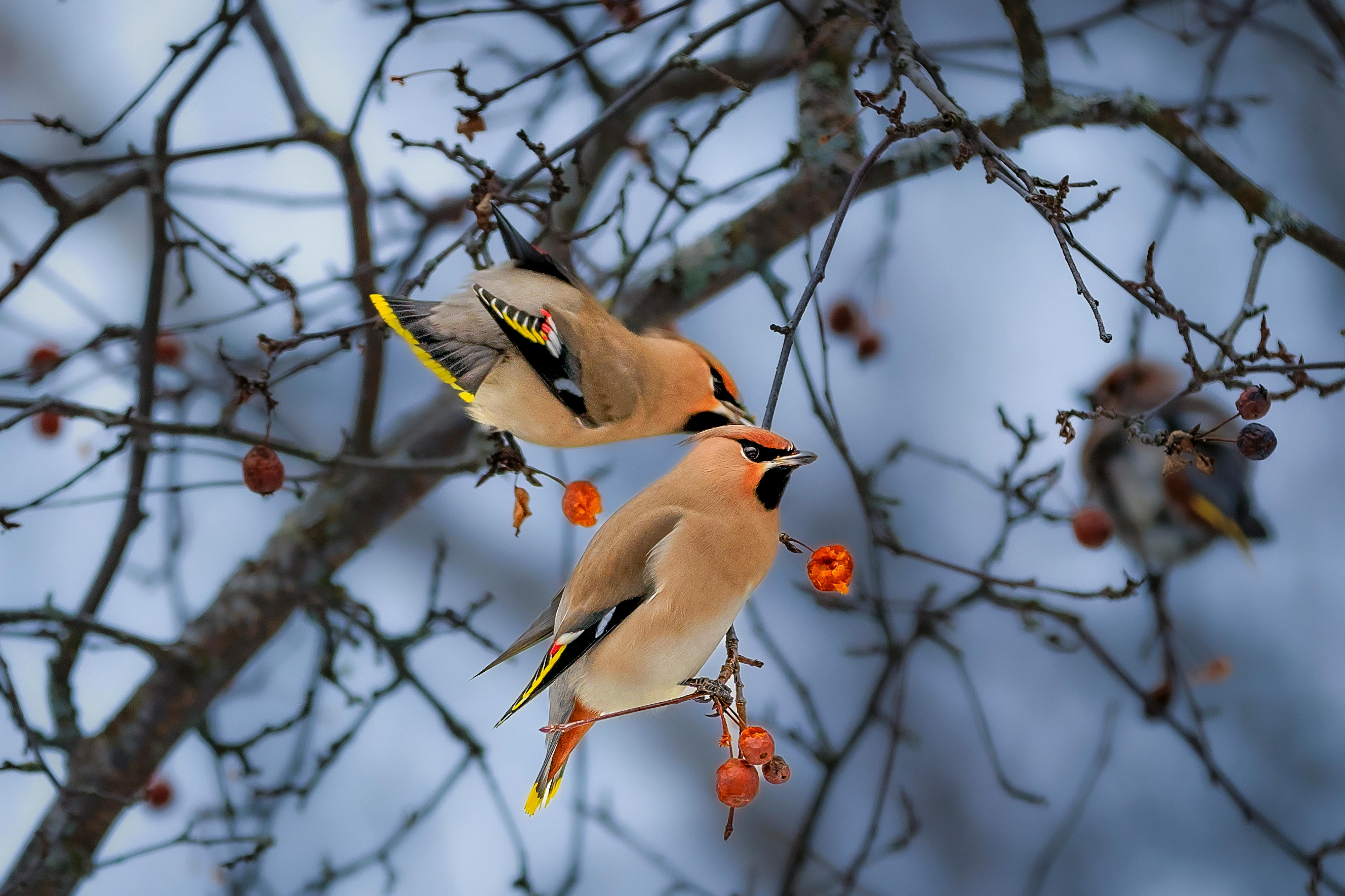 Colorfull Photos, Download The BEST Free Colorfull Stock Photos & HD Images