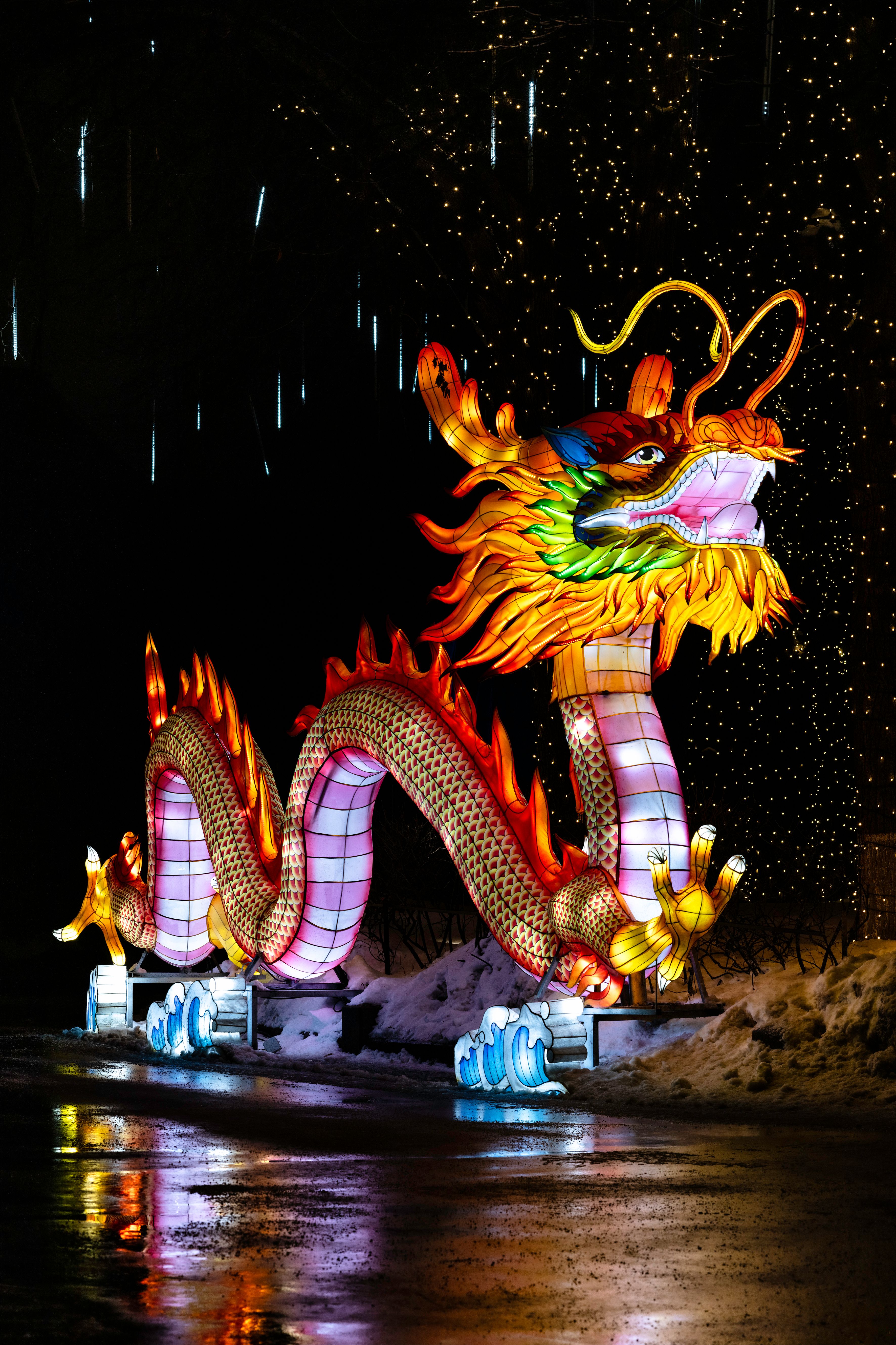Buddha Dragon Photos, Download The BEST Free Buddha Dragon Stock Photos ...