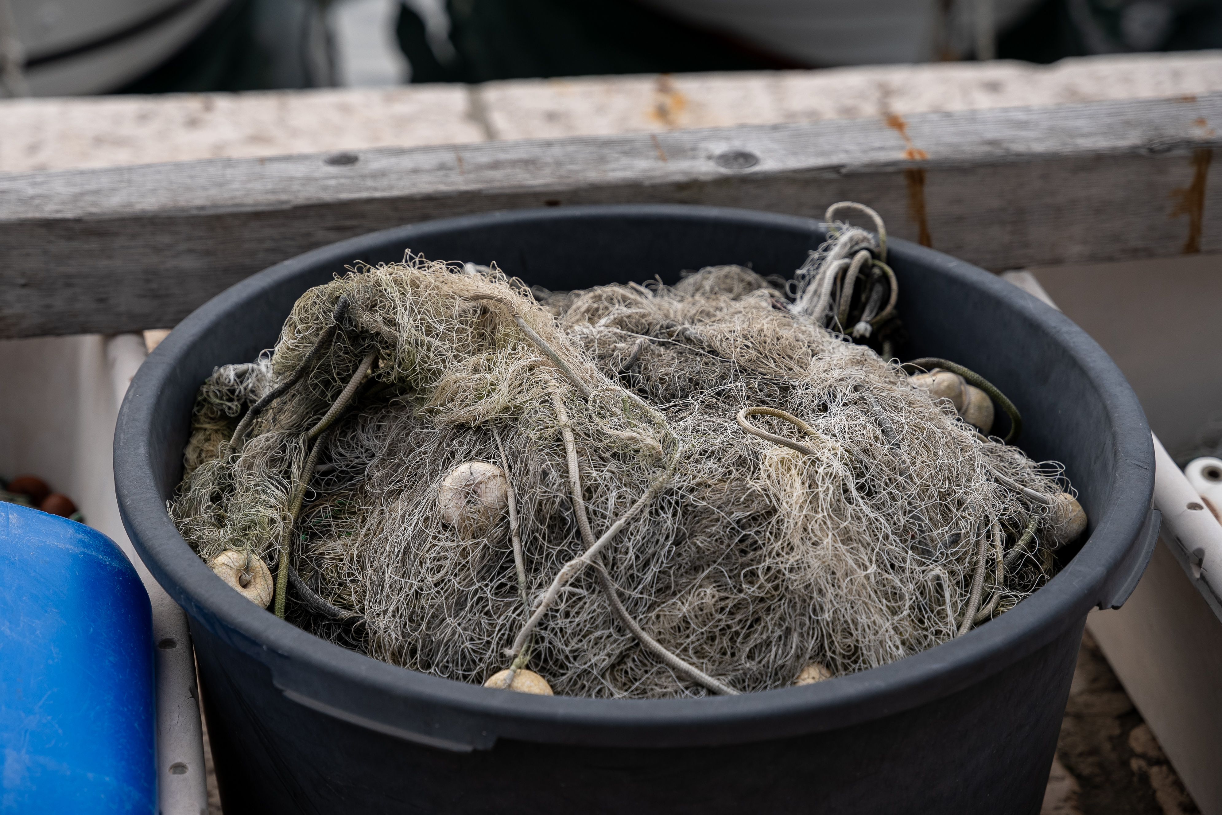 Close-up of a Bucket with a Fishing Net · Free Stock Photo