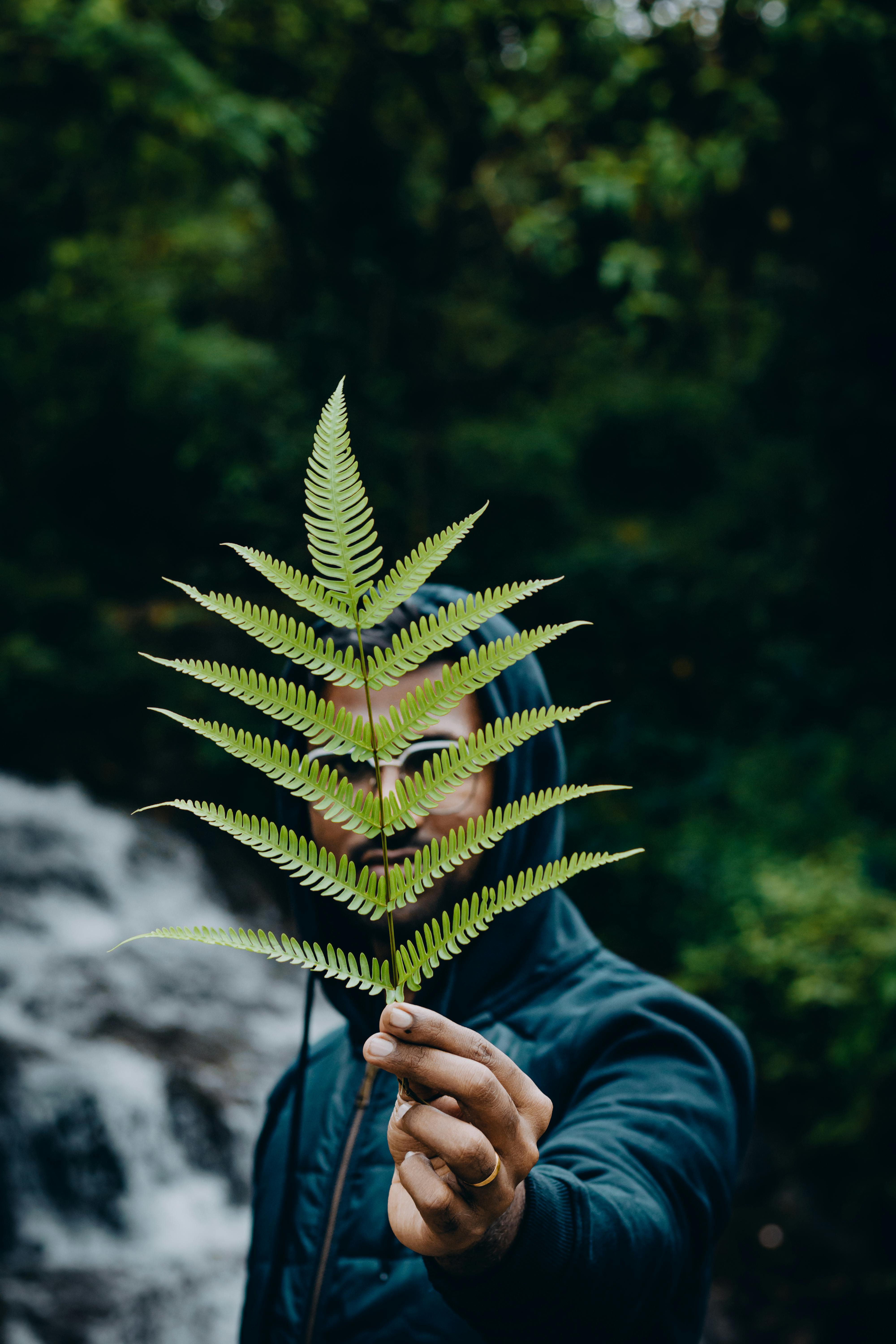 Man Holding a Big Leaf In Front of His Face · Free Stock Photo
