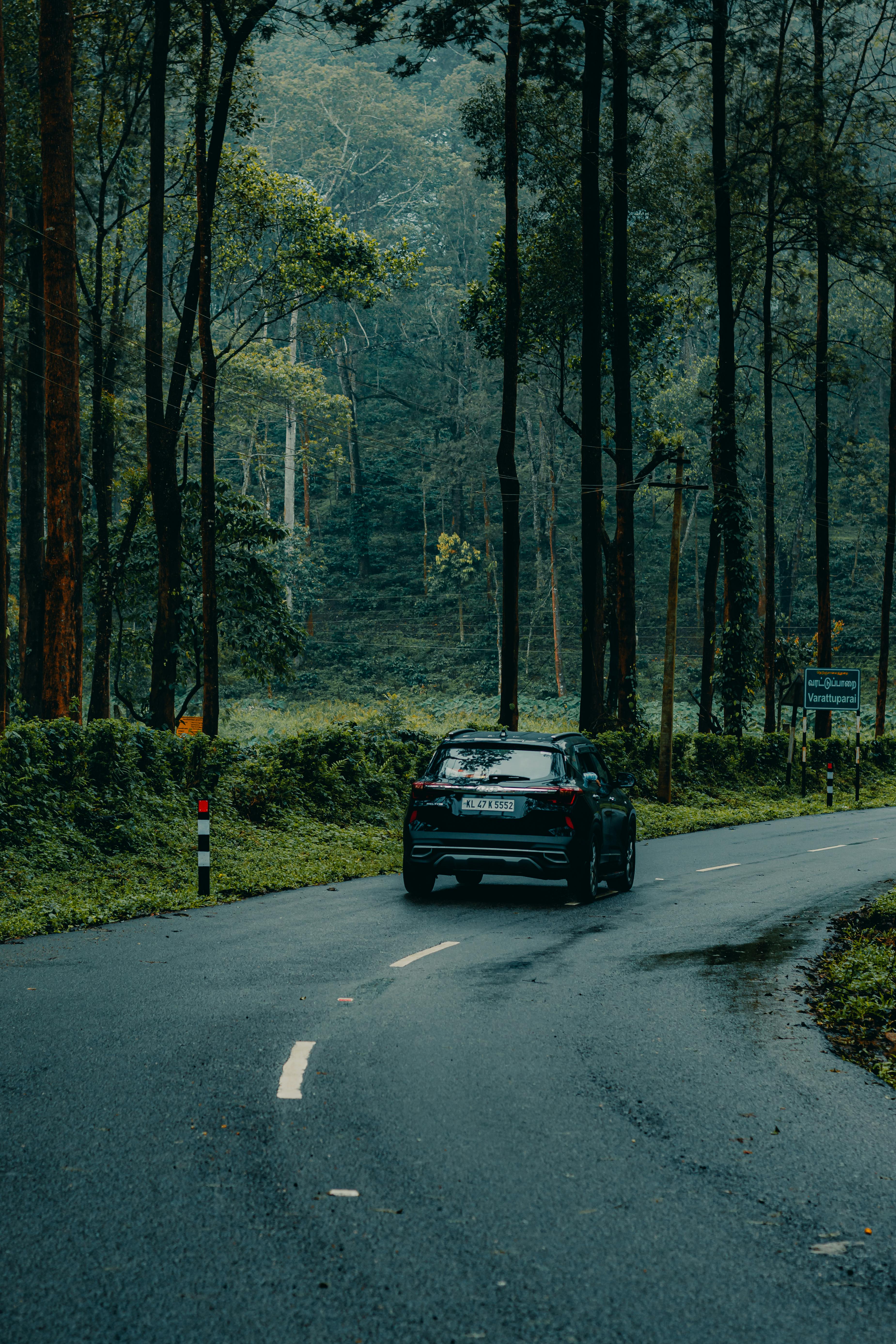 Car on Road in Forest · Free Stock Photo