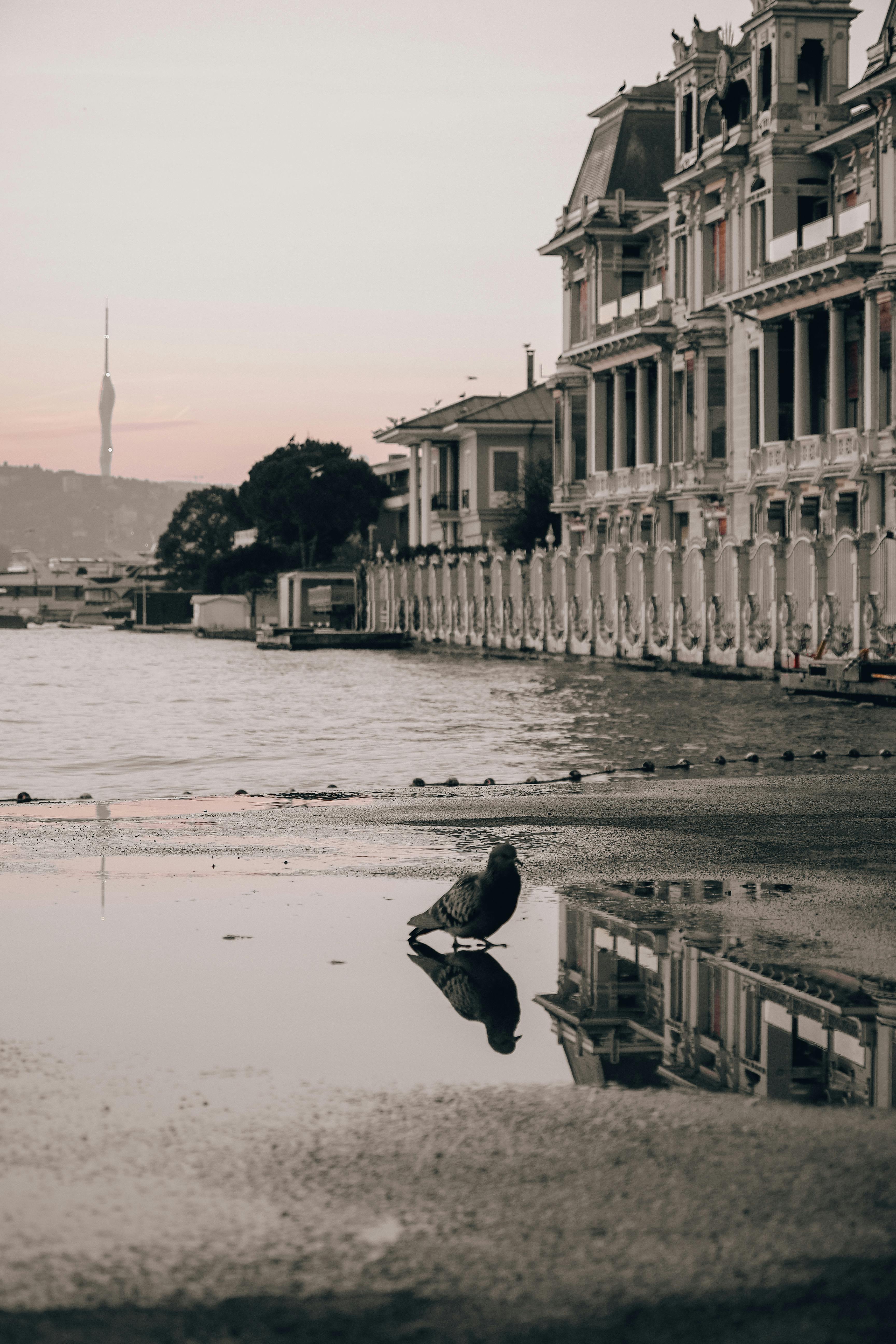 Water Puddle Maps Photos, Download The BEST Free Water Puddle Maps ...