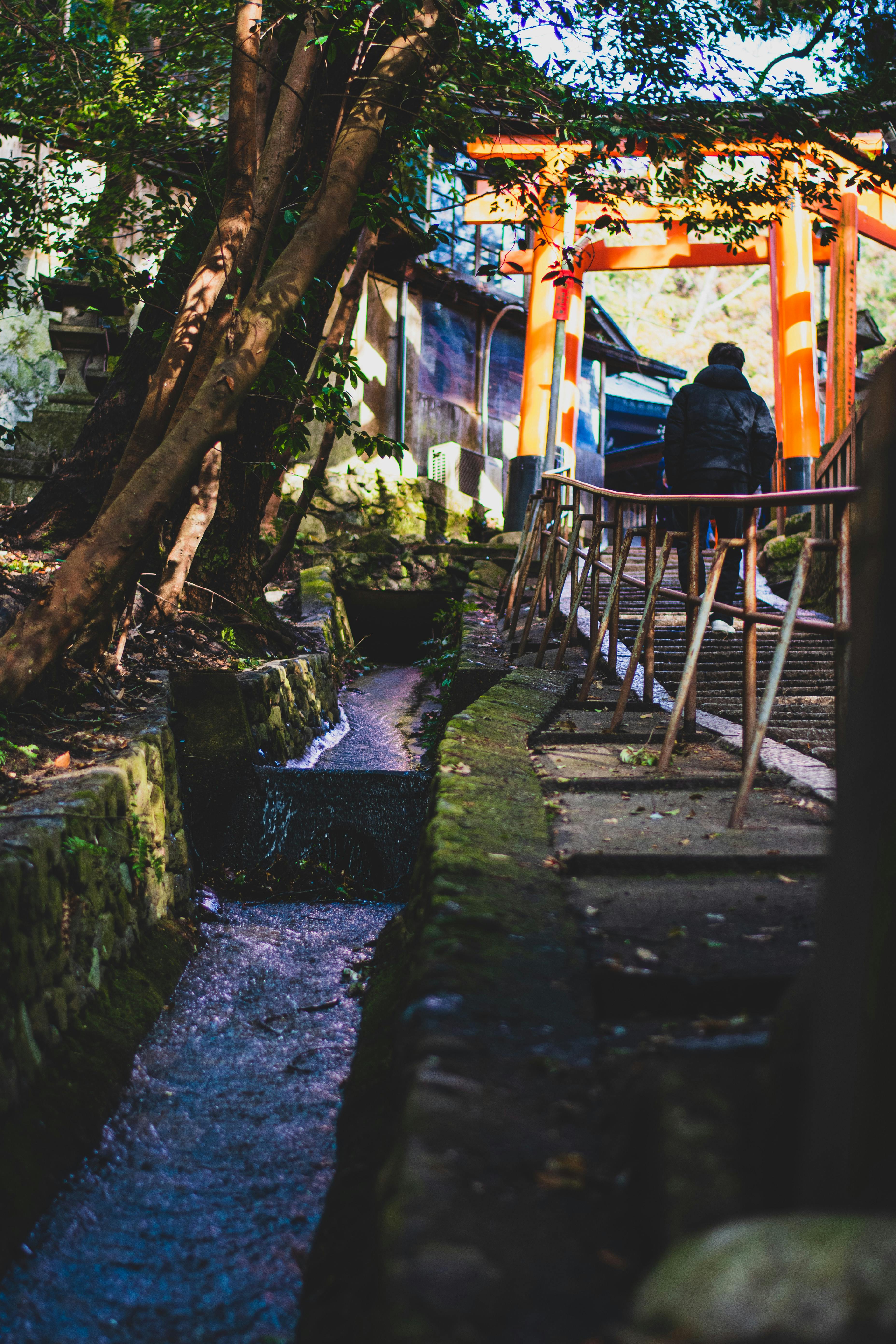Person on Walkway along Stream · Free Stock Photo