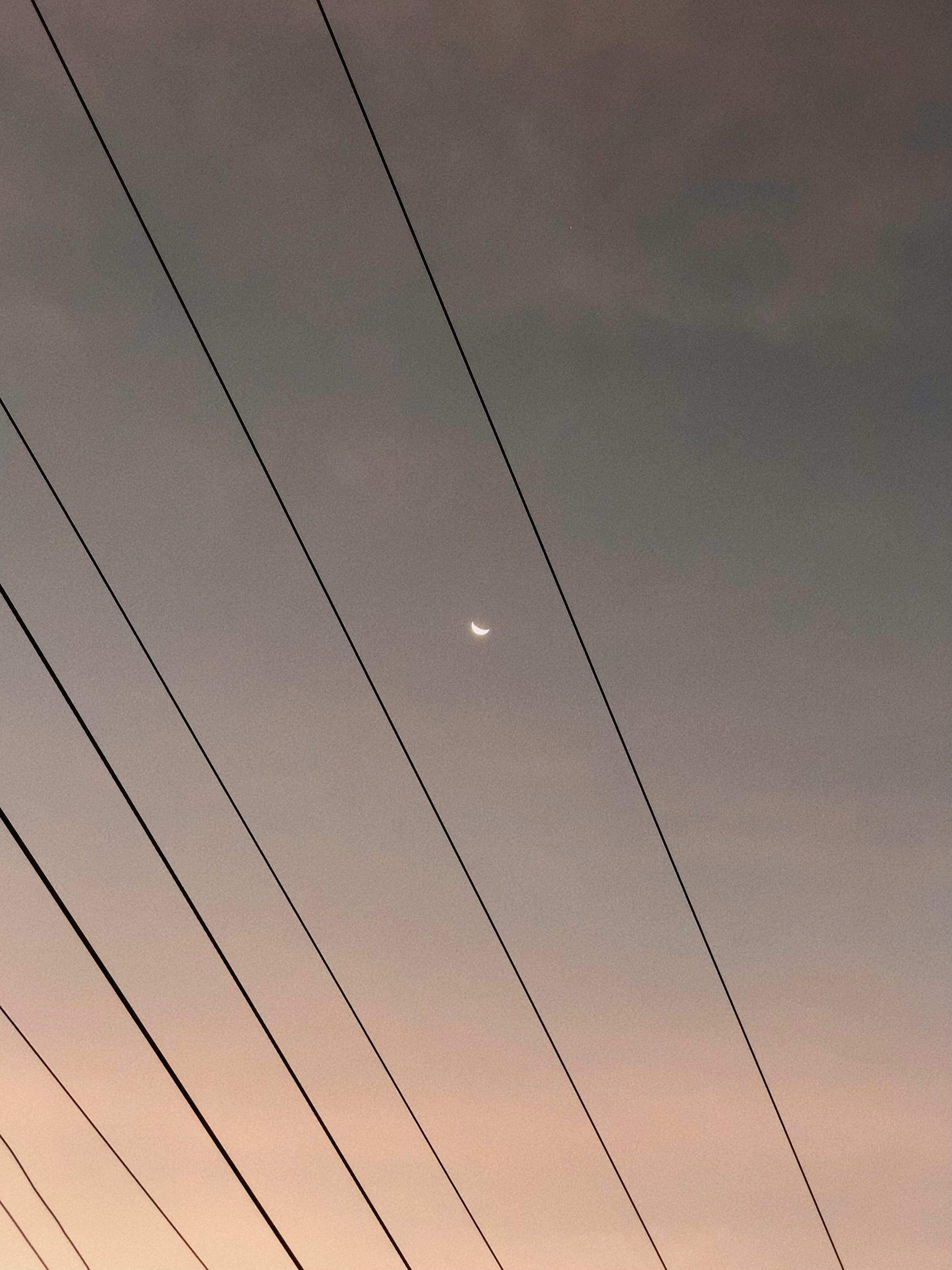 Electric Wires and Crescent Moon · Free Stock Photo