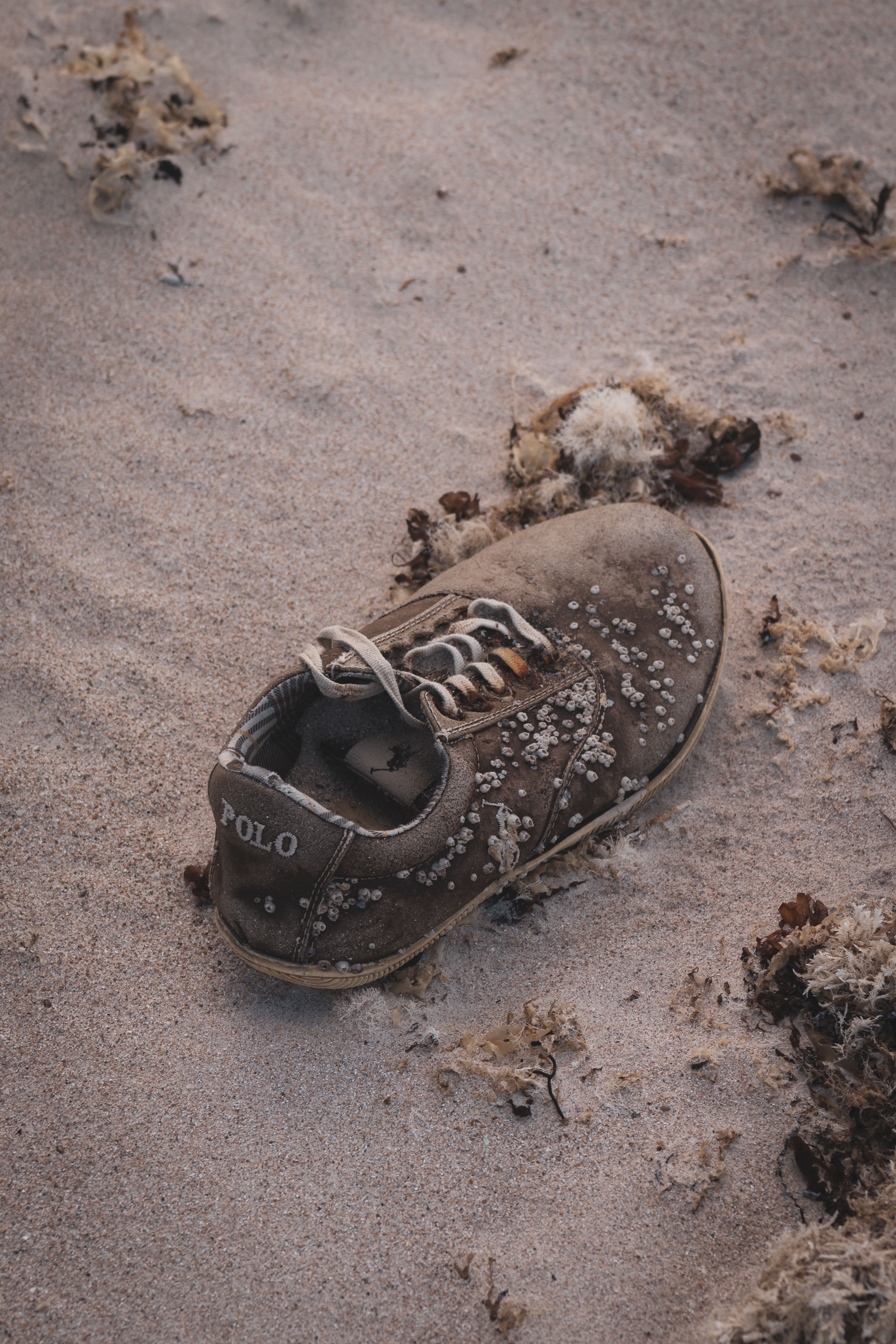 Shoe on Sand · Free Stock Photo