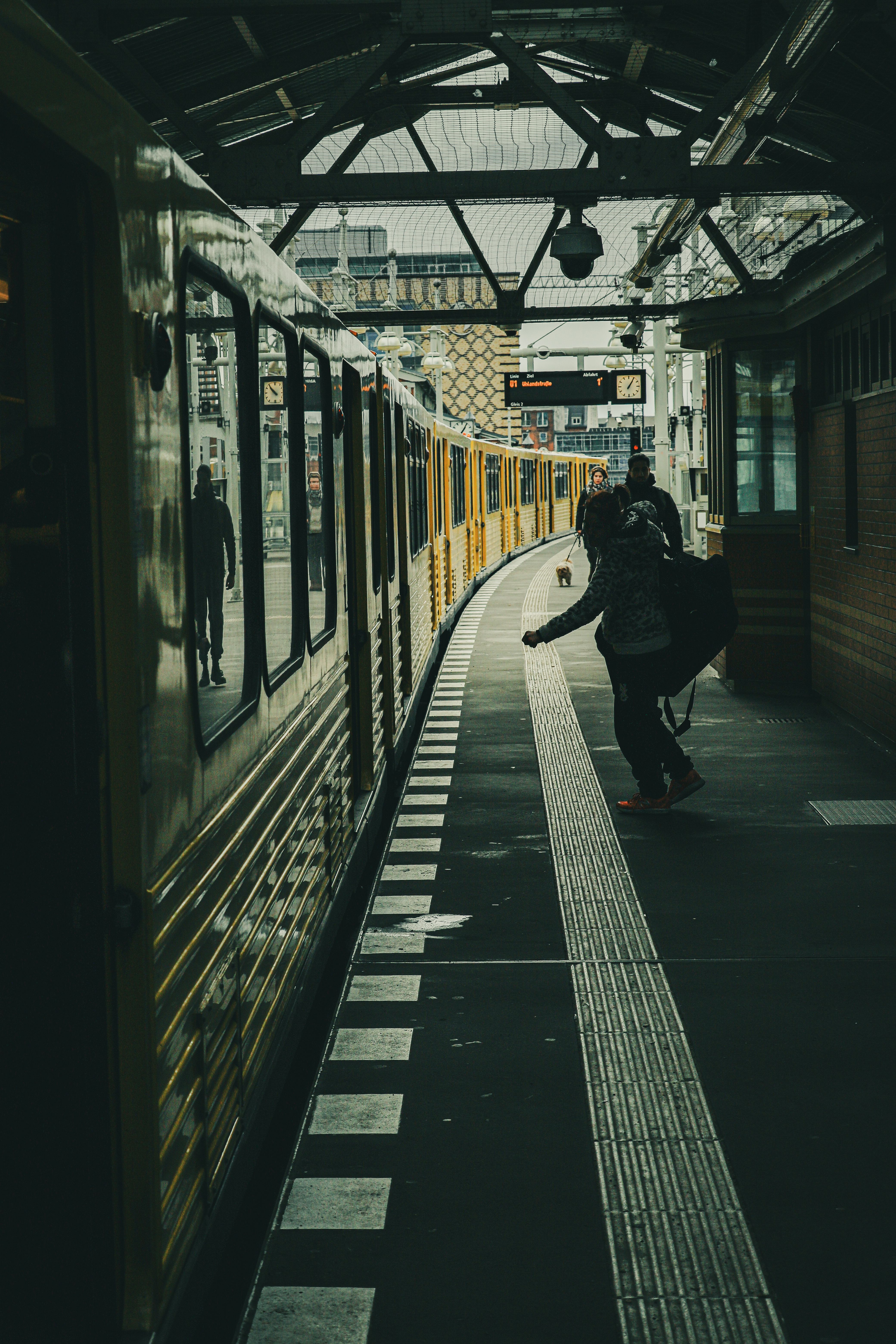 Auc Photos, Download The BEST Free Auc Stock Photos & HD Images